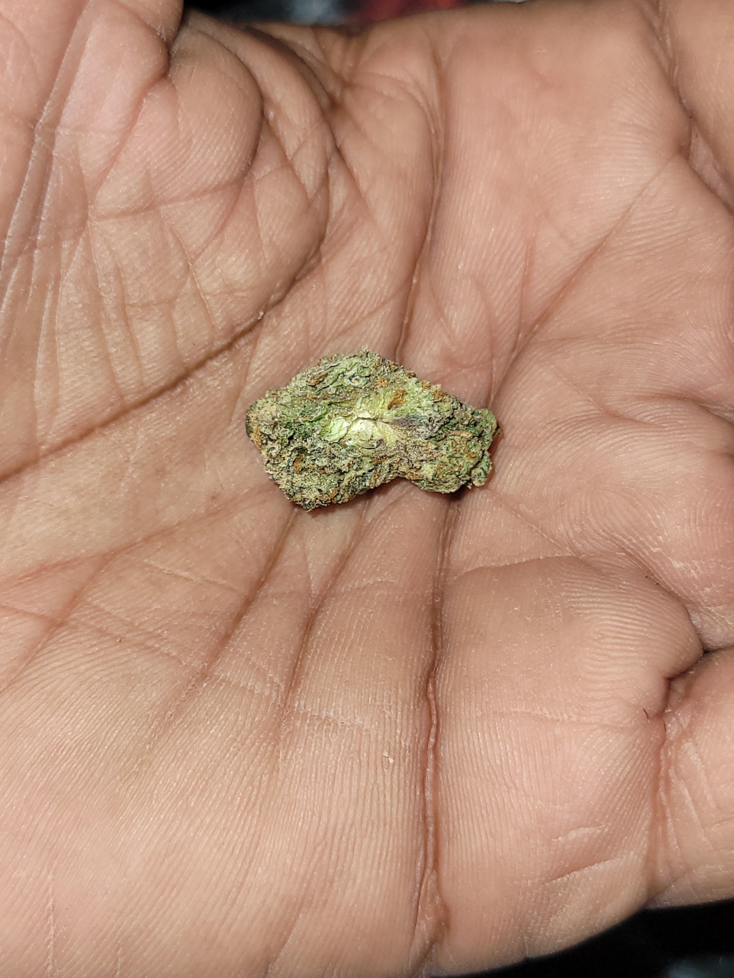 Triangle Gelato | Scrolller