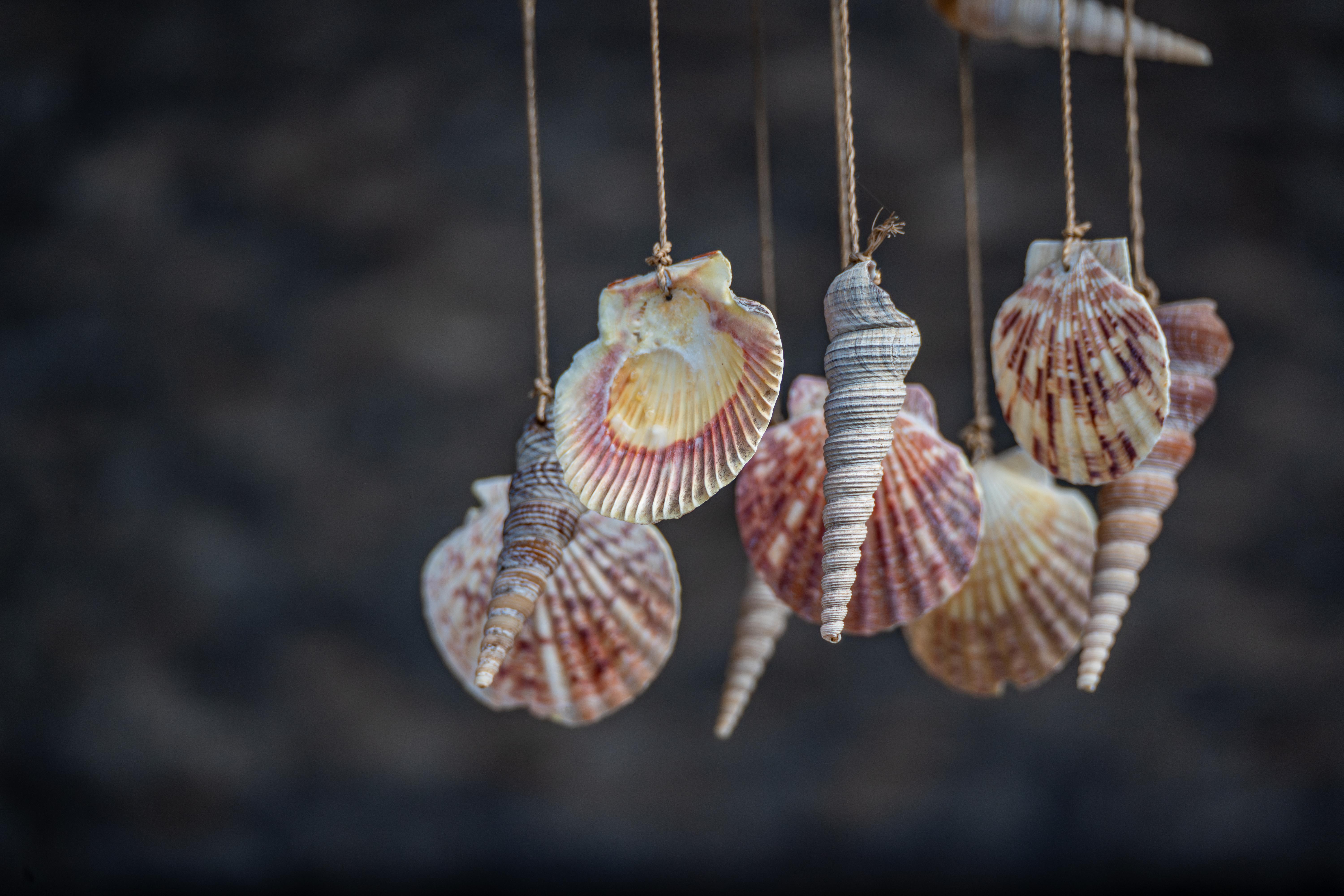 Got my A7III a few months ago and I'm having so much fun!! | Scrolller