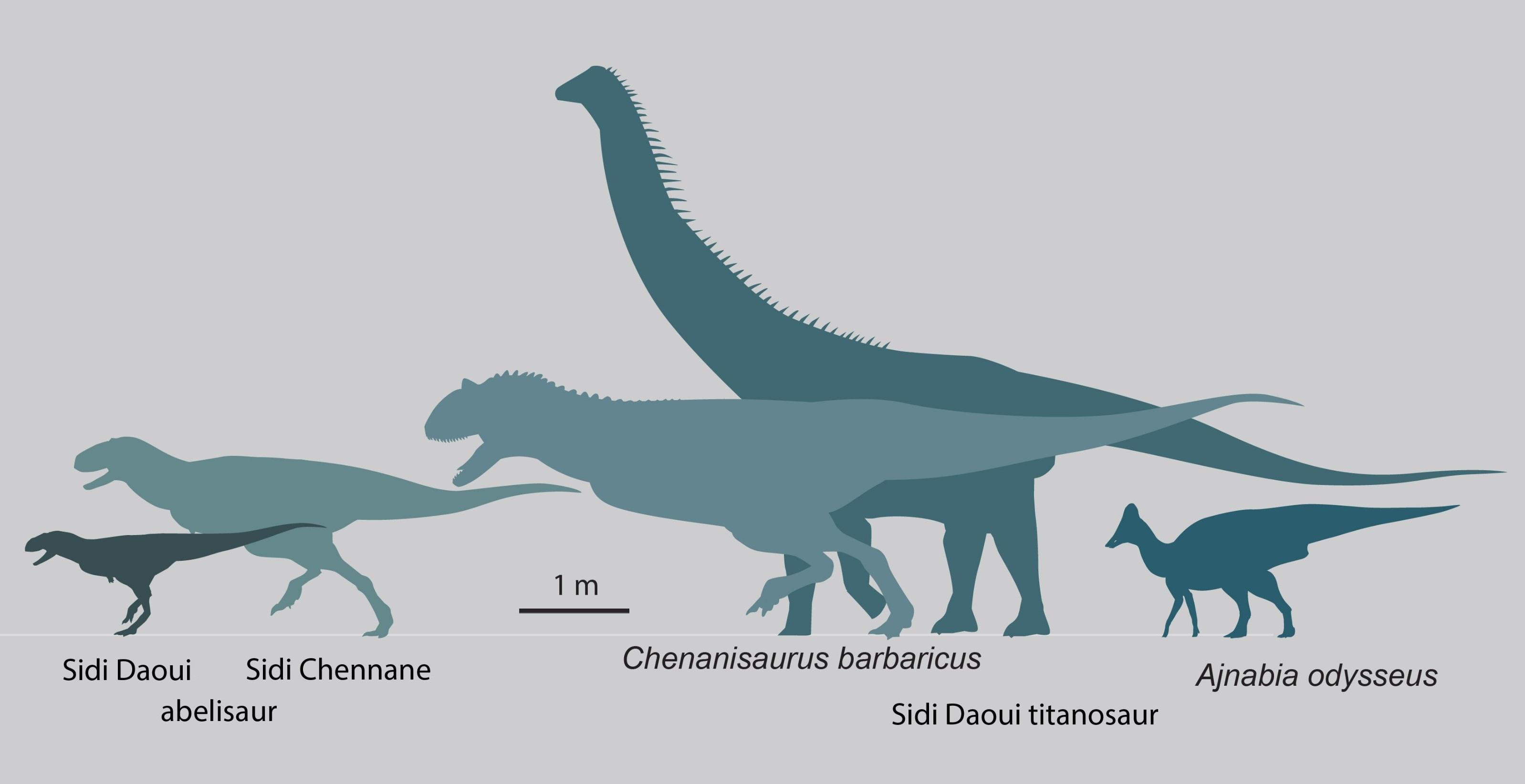 Fauna of West Africa vs East Africa in the Late Cretaceous 66ma. | Scrolller