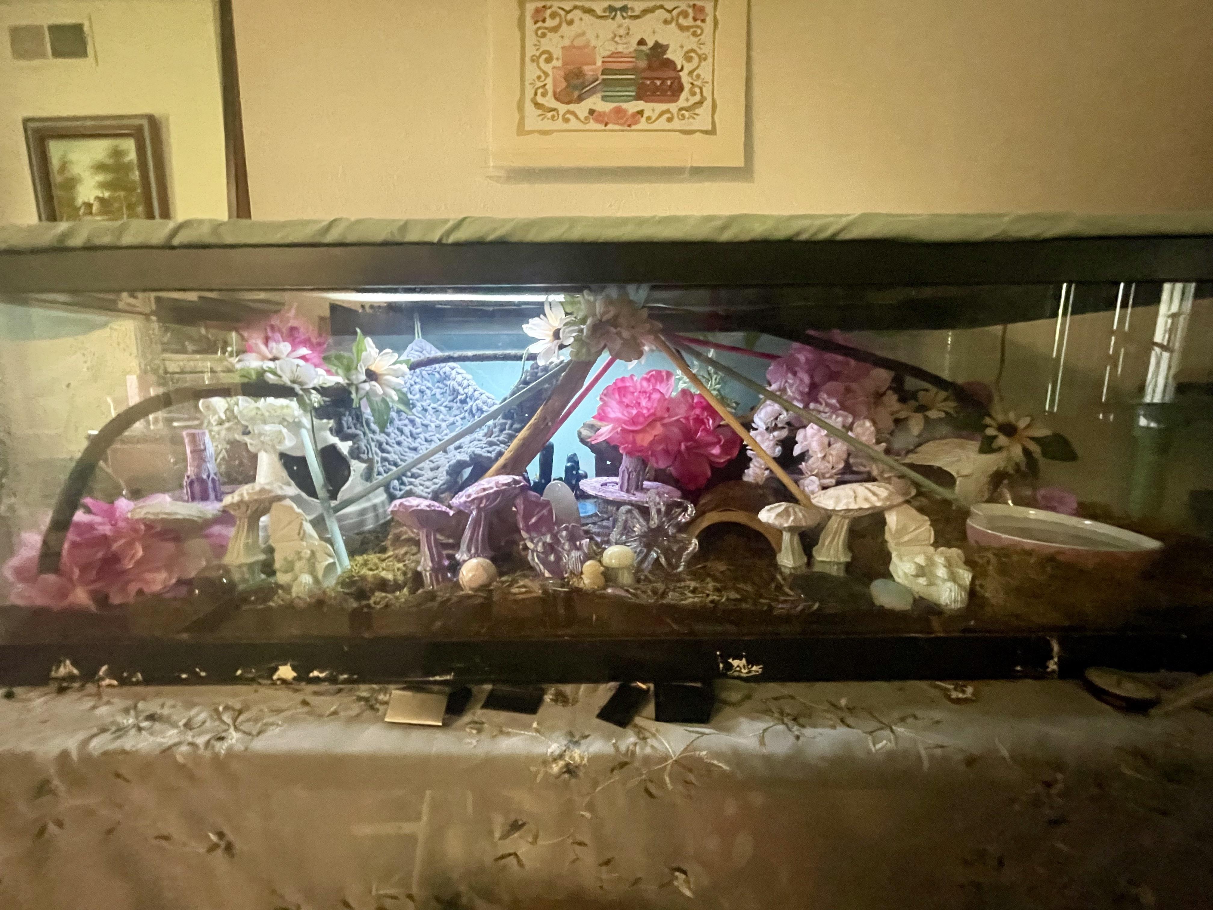 New enclosure!! Thoughts? | Scrolller