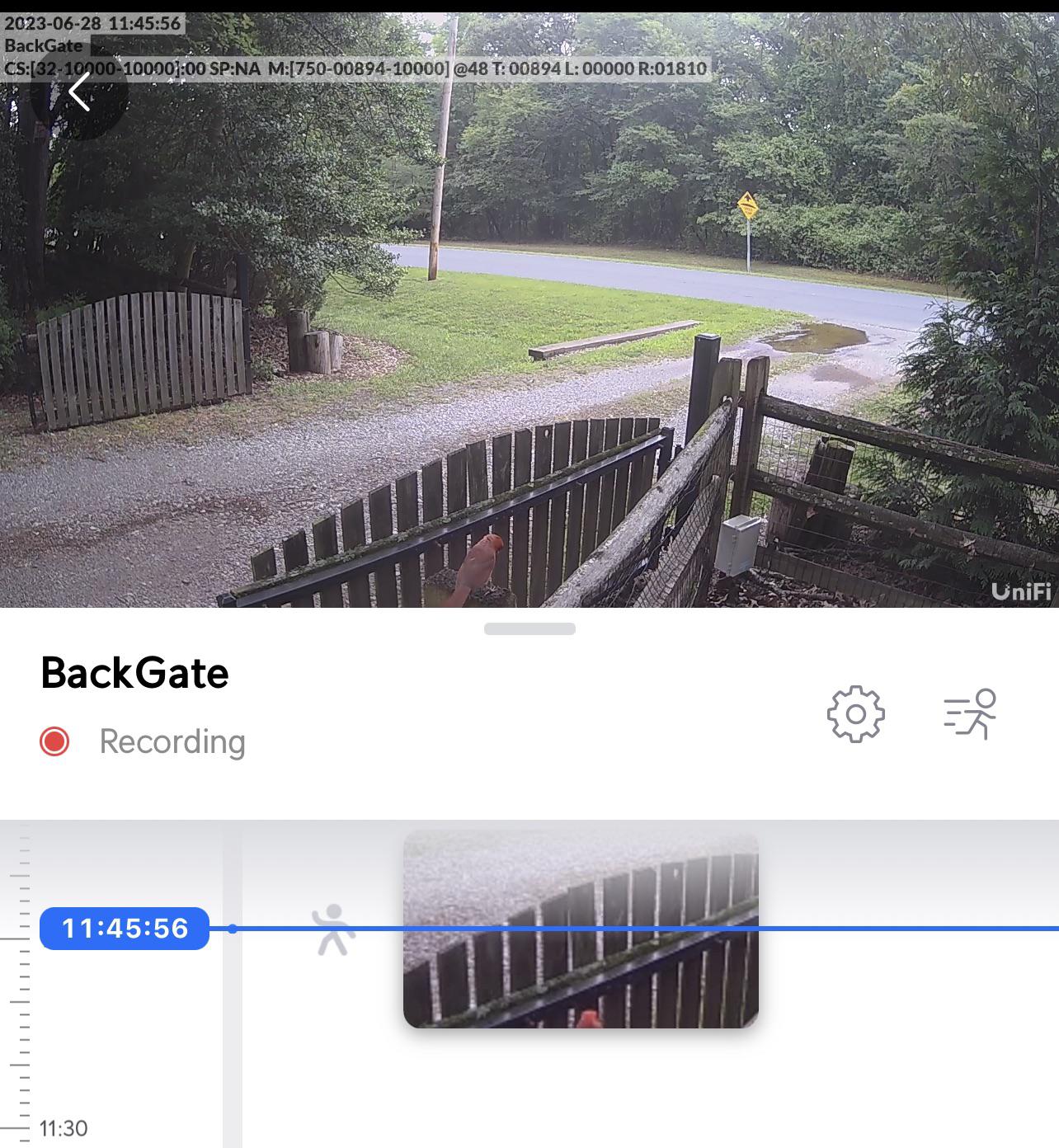 Smart detection - Not a human | Scrolller