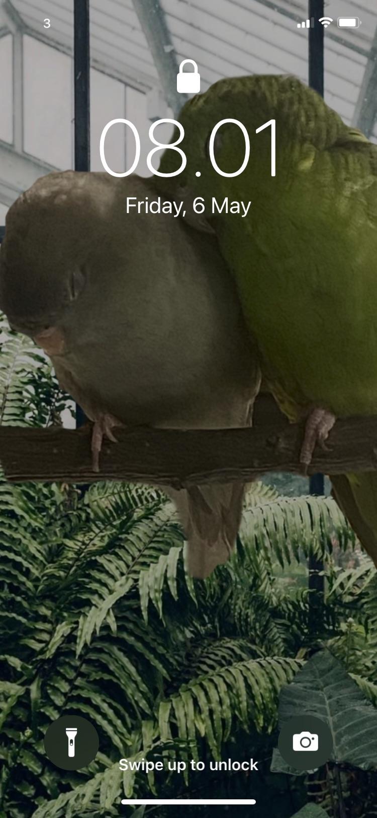 In Loving memory of my best Friend | Scrolller