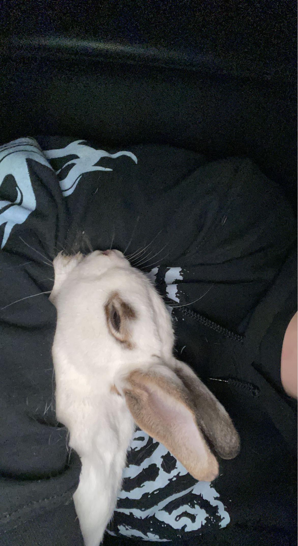 [OC] Late Night Rescue! | Scrolller