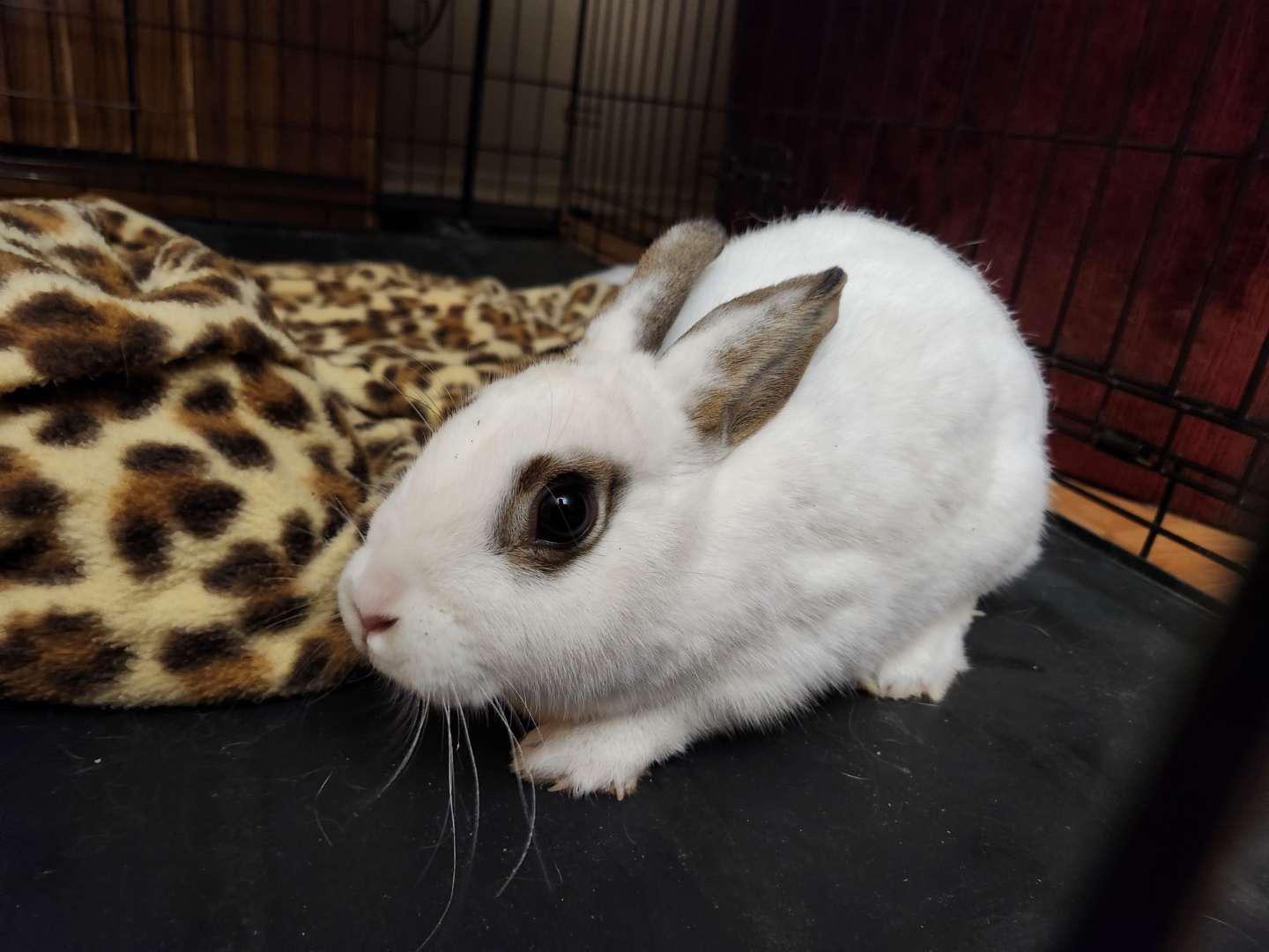 [OC] Late Night Rescue! | Scrolller