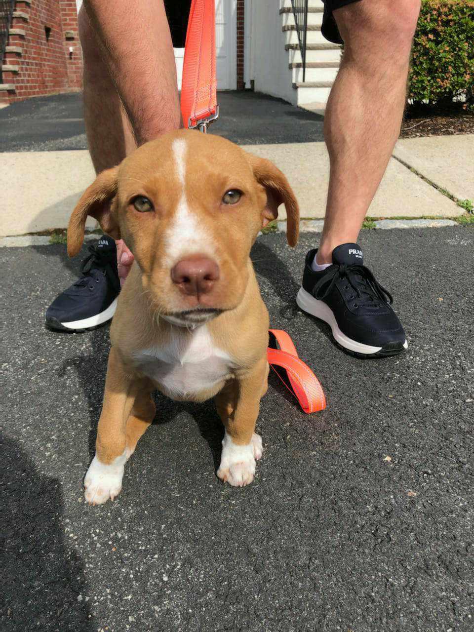 Time flies | Scrolller