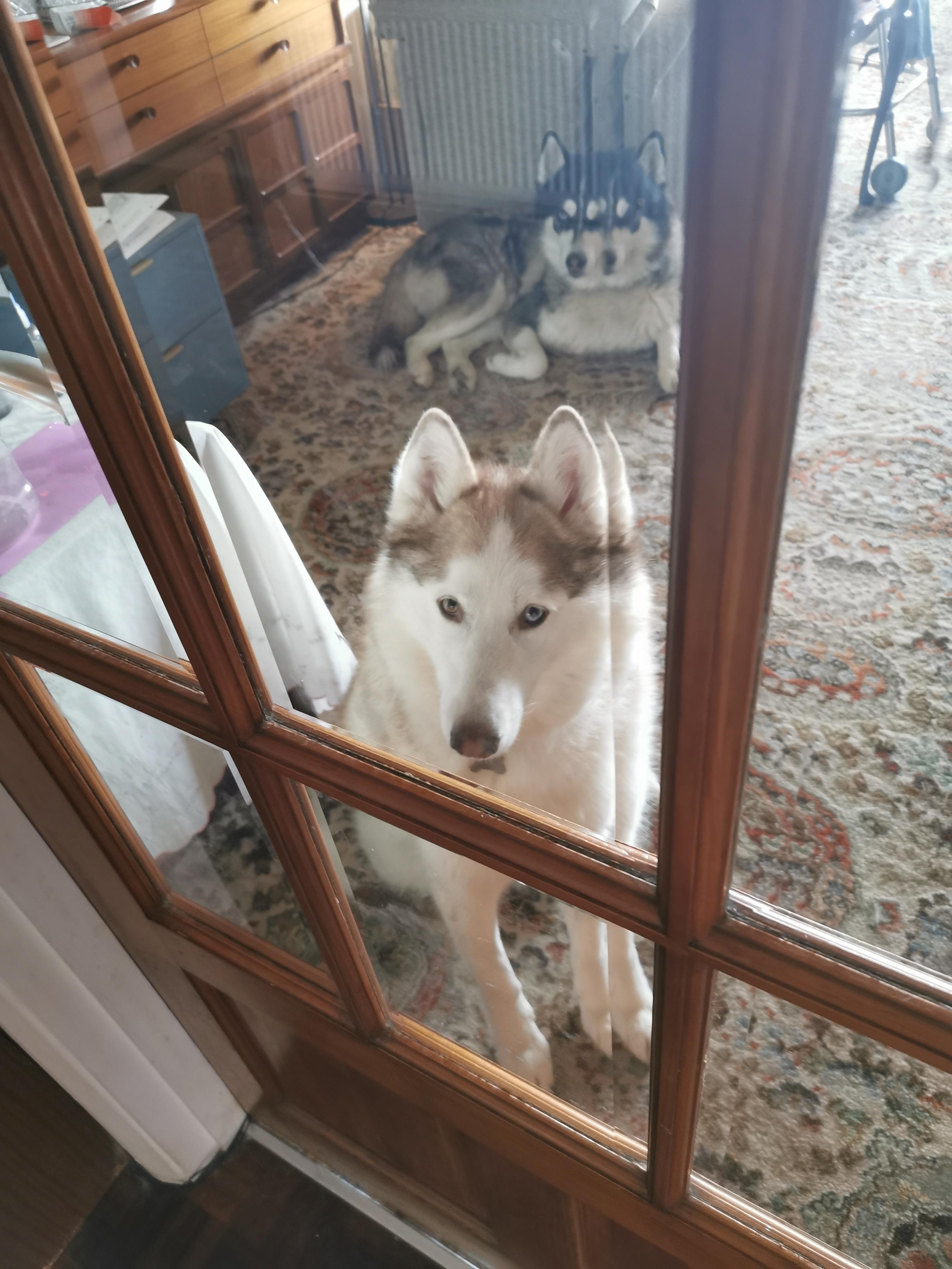 How to keep her calm?? | Scrolller