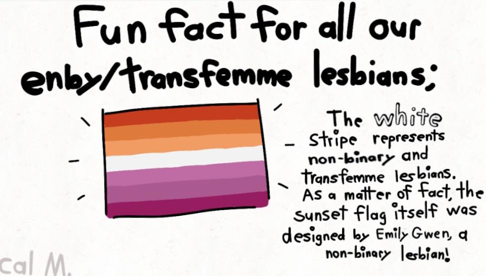 Fun fact for our enby/transfemme lesbians! | Scrolller