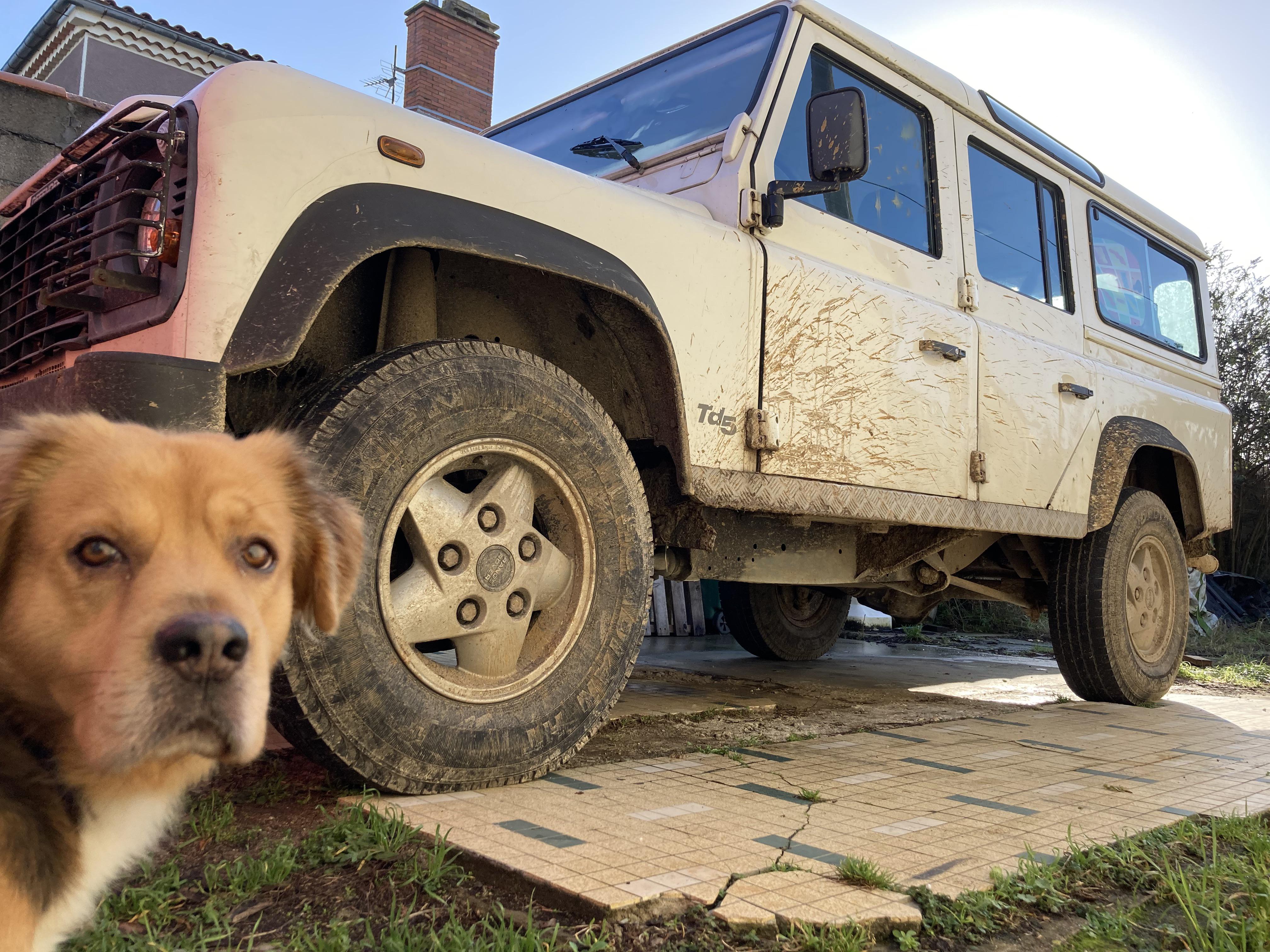 Defender 110 | Scrolller