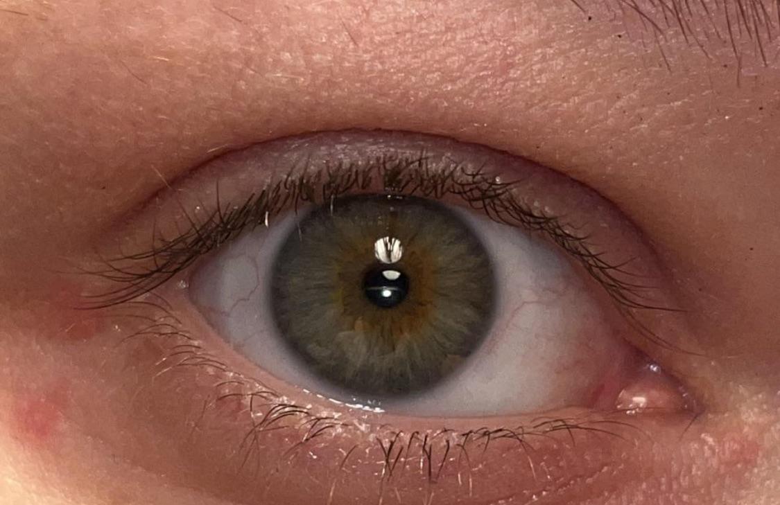 Wondering what the general consensus is: hazel or green? | Scrolller