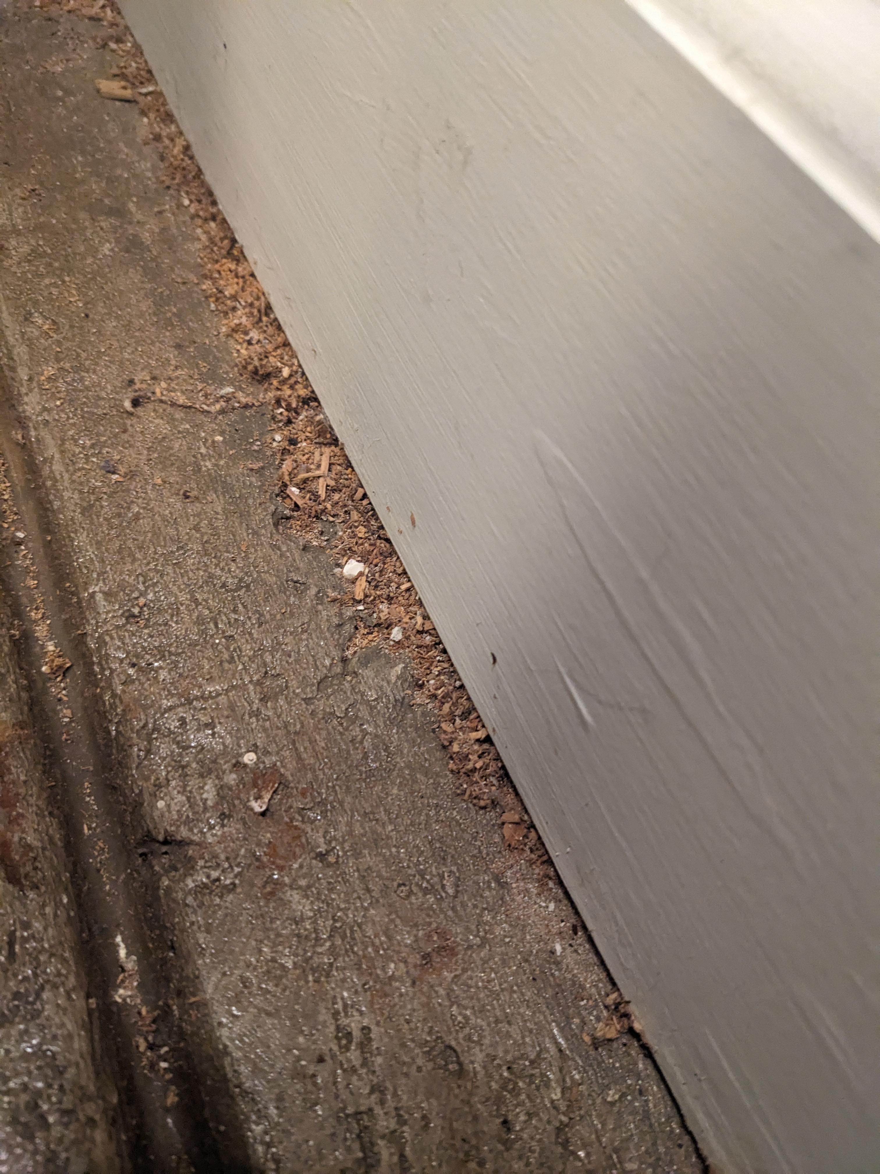Shavings at baseboard | Scrolller
