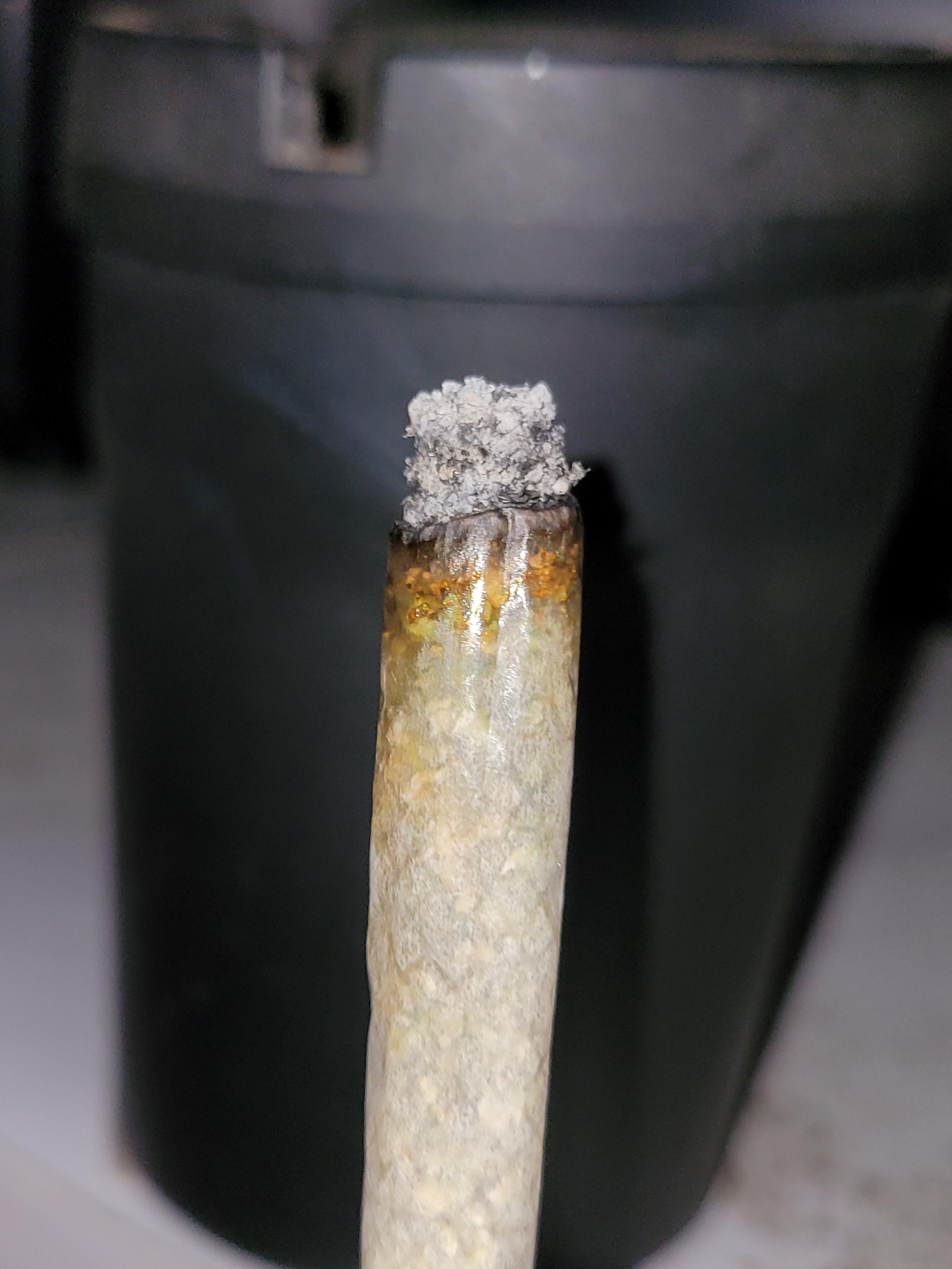 Frosted Jungle | Scrolller