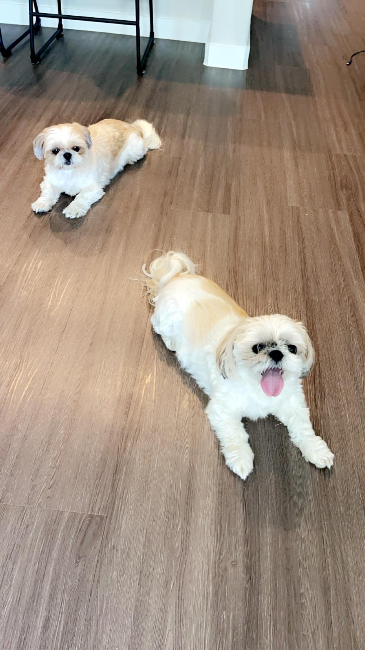 Seesaw smiling | Scrolller