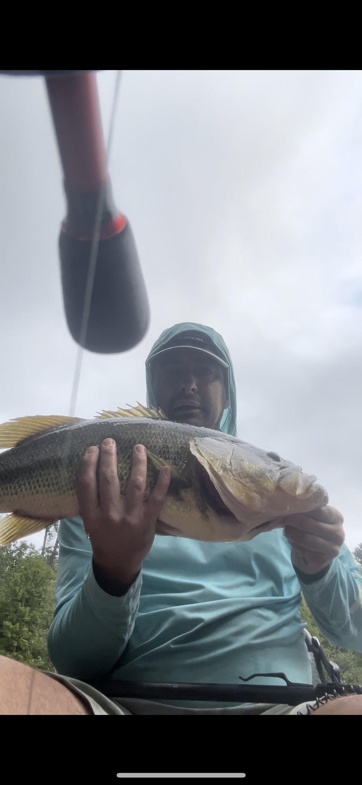 Sunday morning topwater | Scrolller