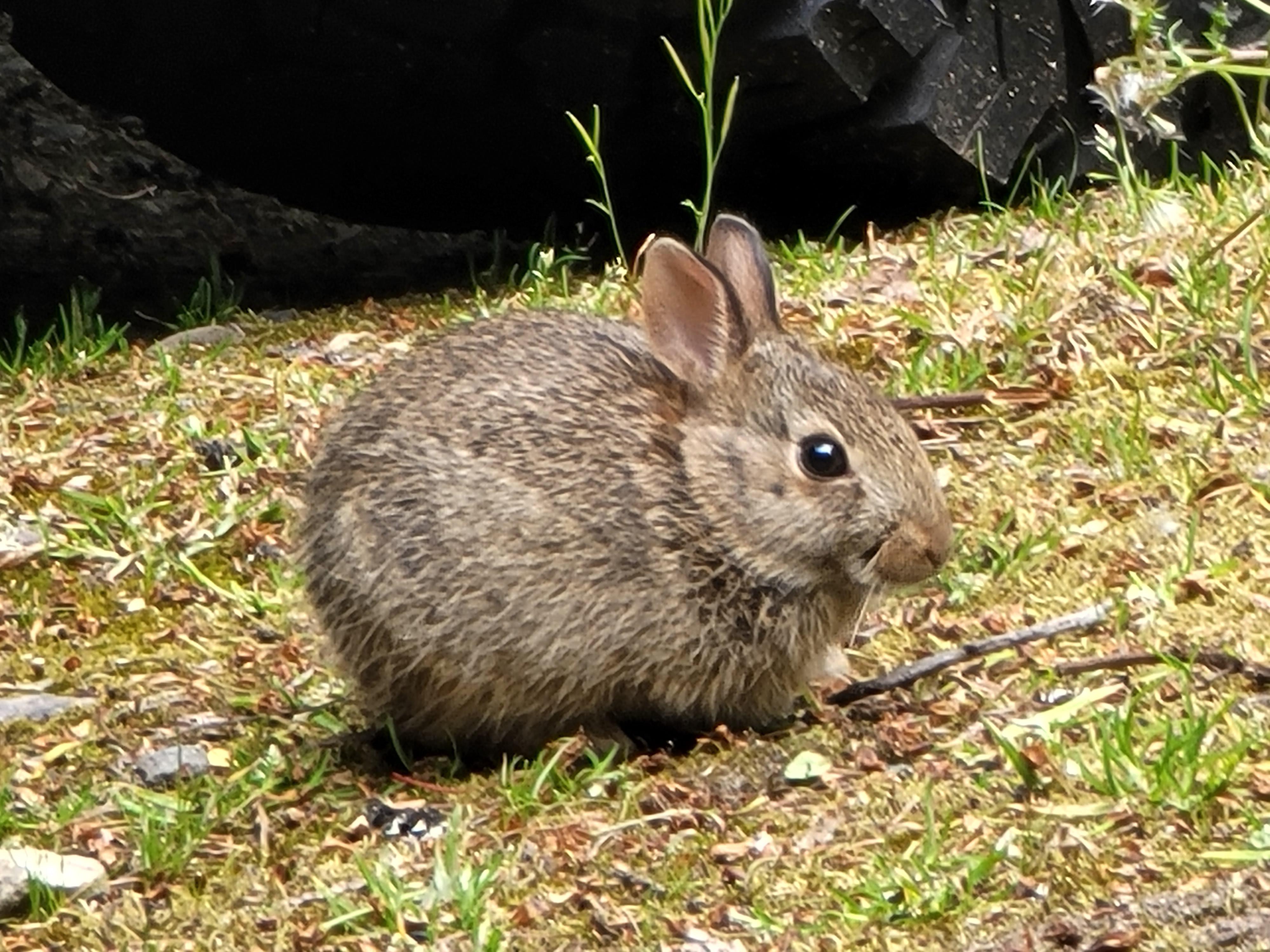 [OC] Spring Time | Scrolller