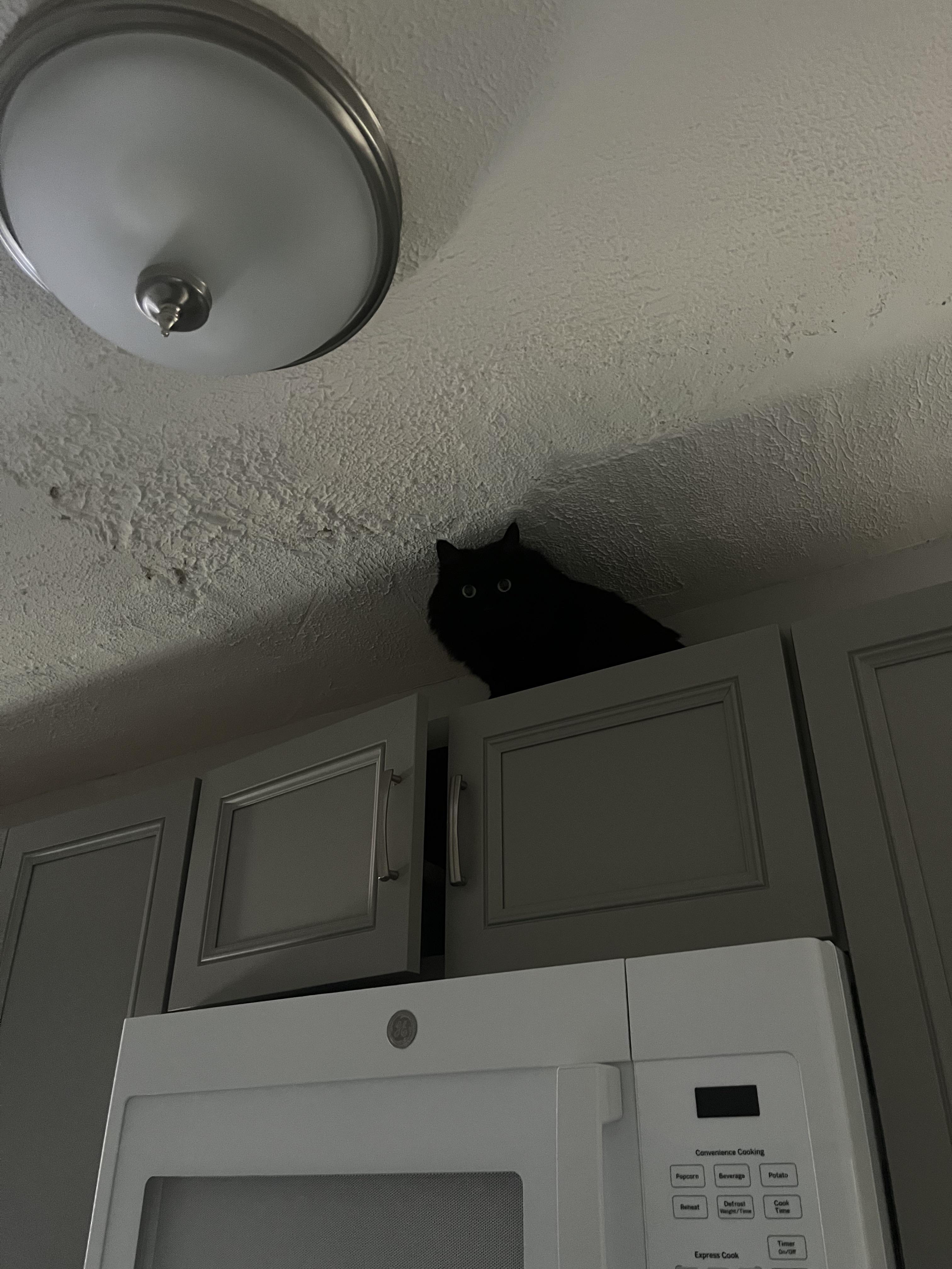 Void with eyes | Scrolller