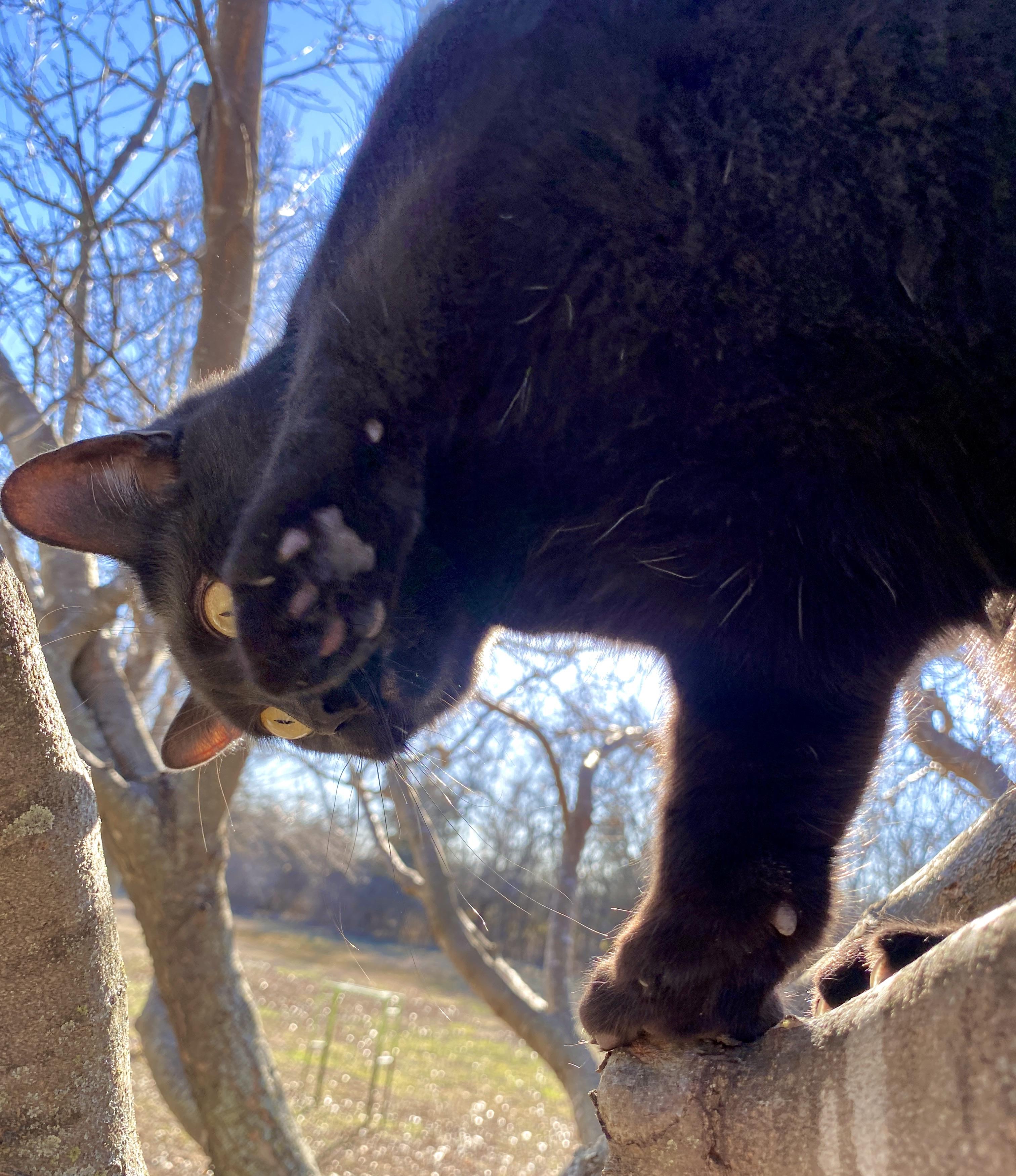 Void Playtime | Scrolller