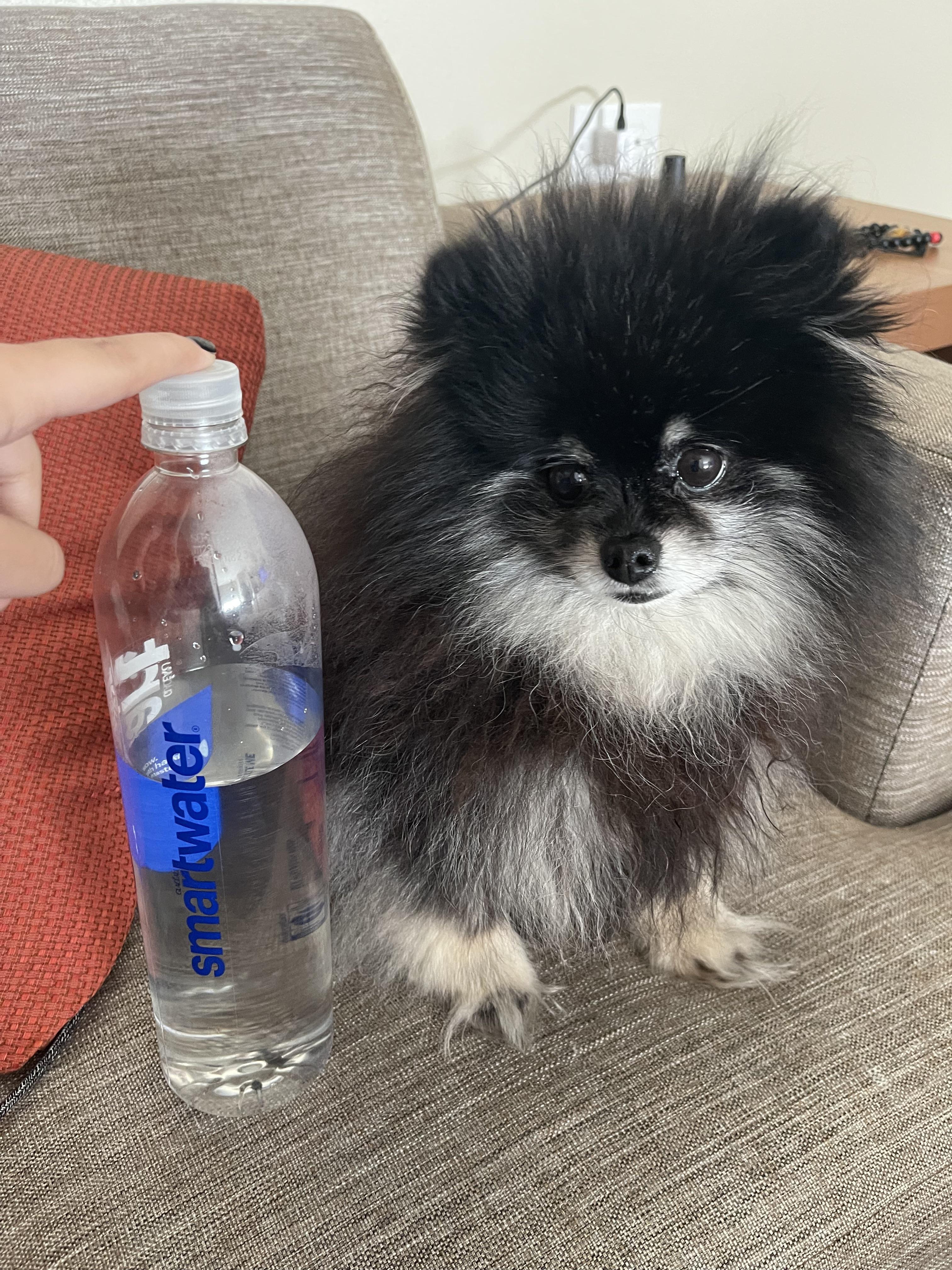 About one smartwater tall | Scrolller