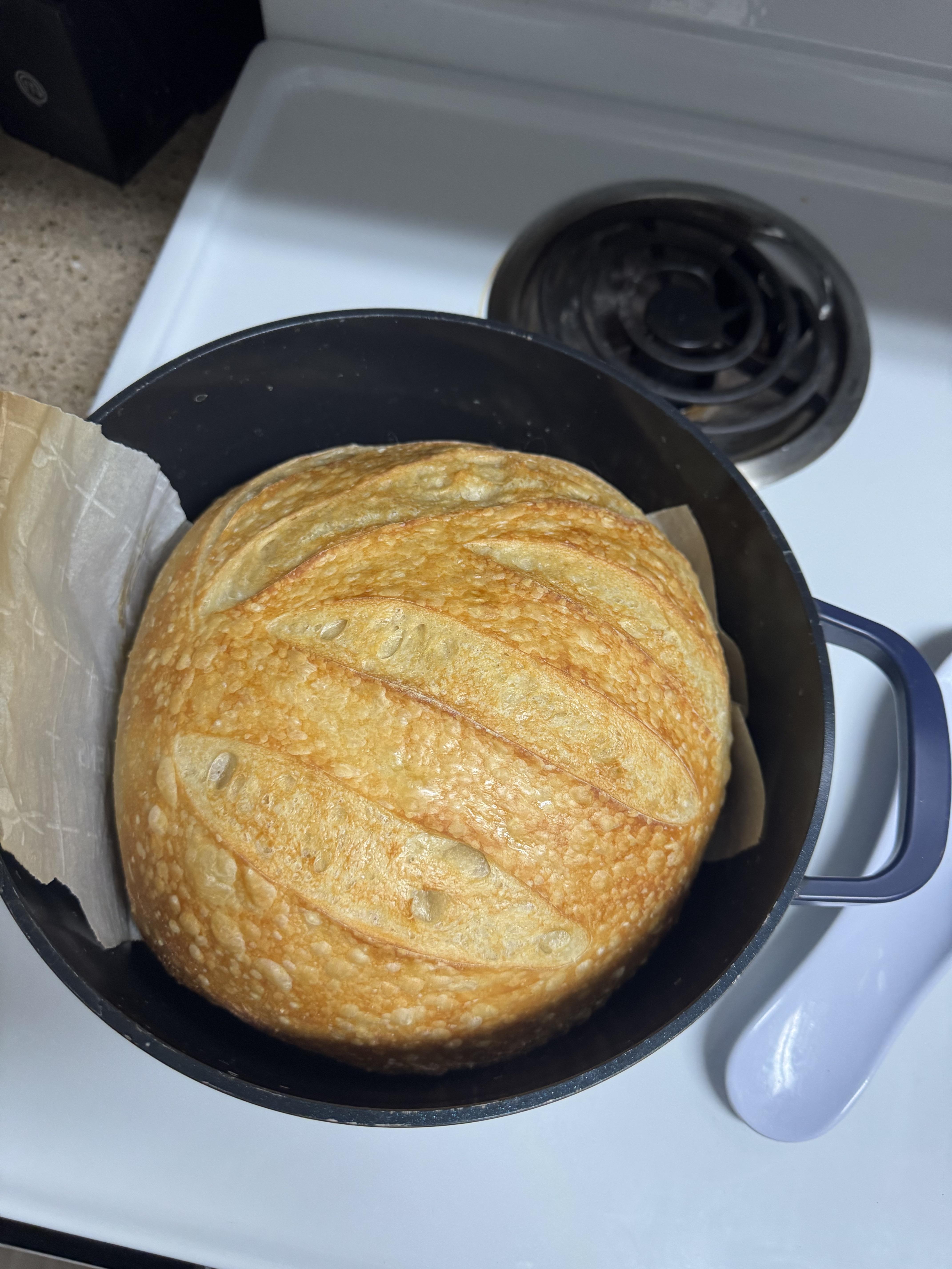 Discover more like Sourdough: First loaf and Related Content | Scrolller