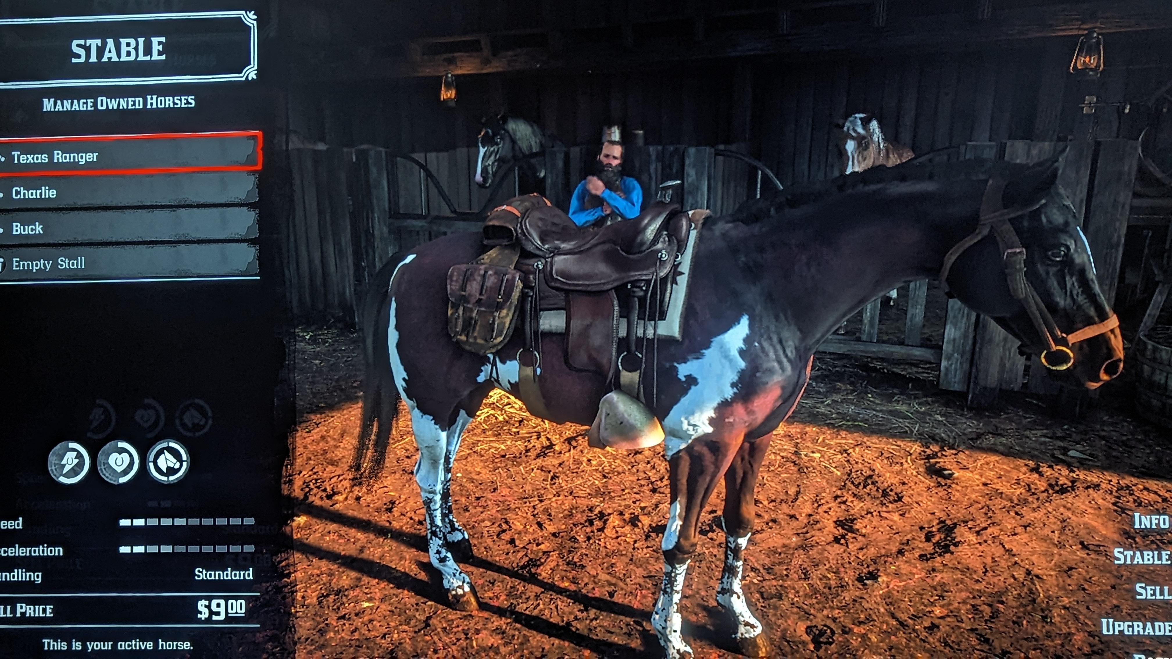 Does anyone know how to have more than 4 horses in story mode? | Scrolller
