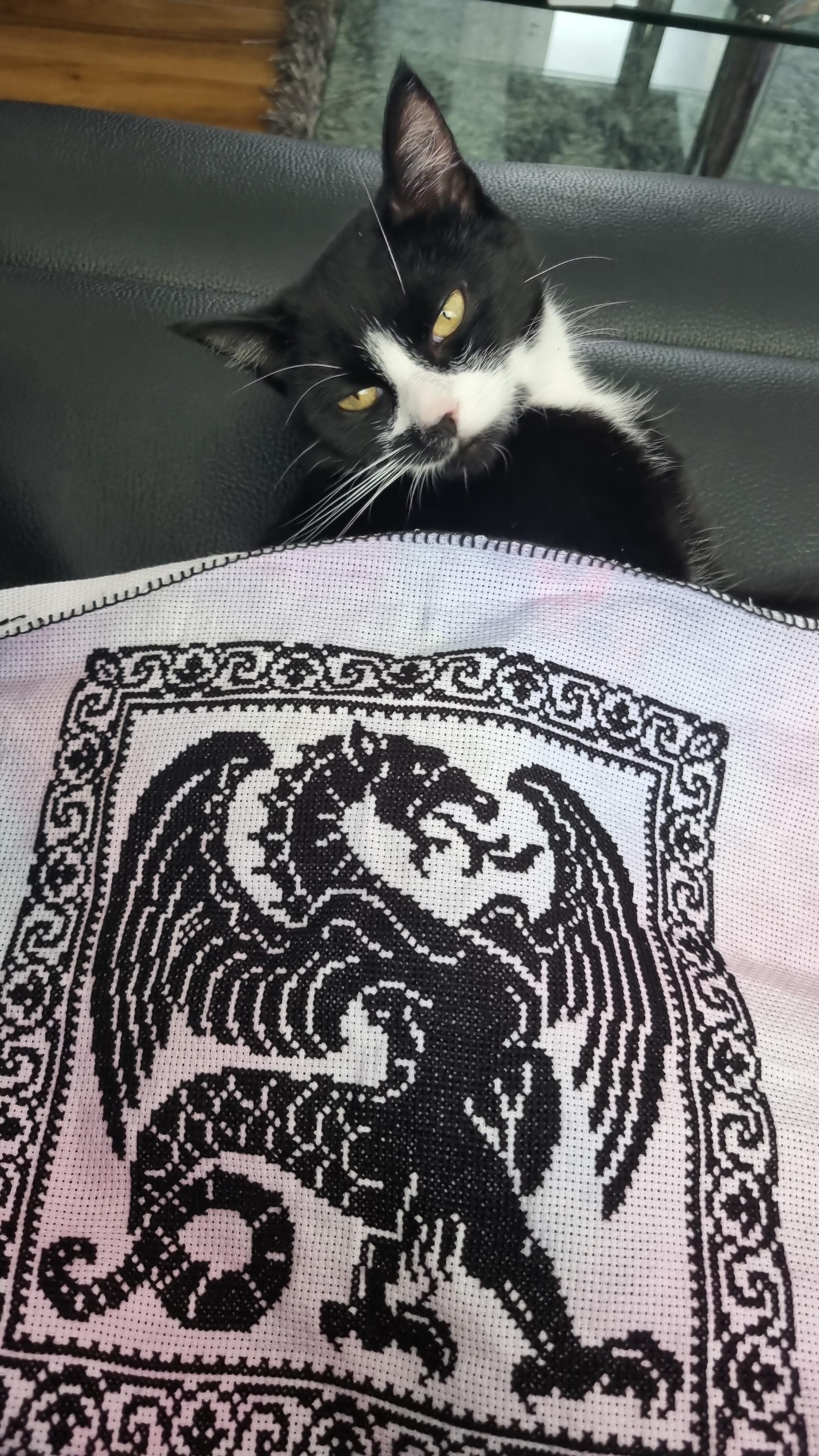 [FO] finally finished one of my dragons! (cat for scale) | Scrolller