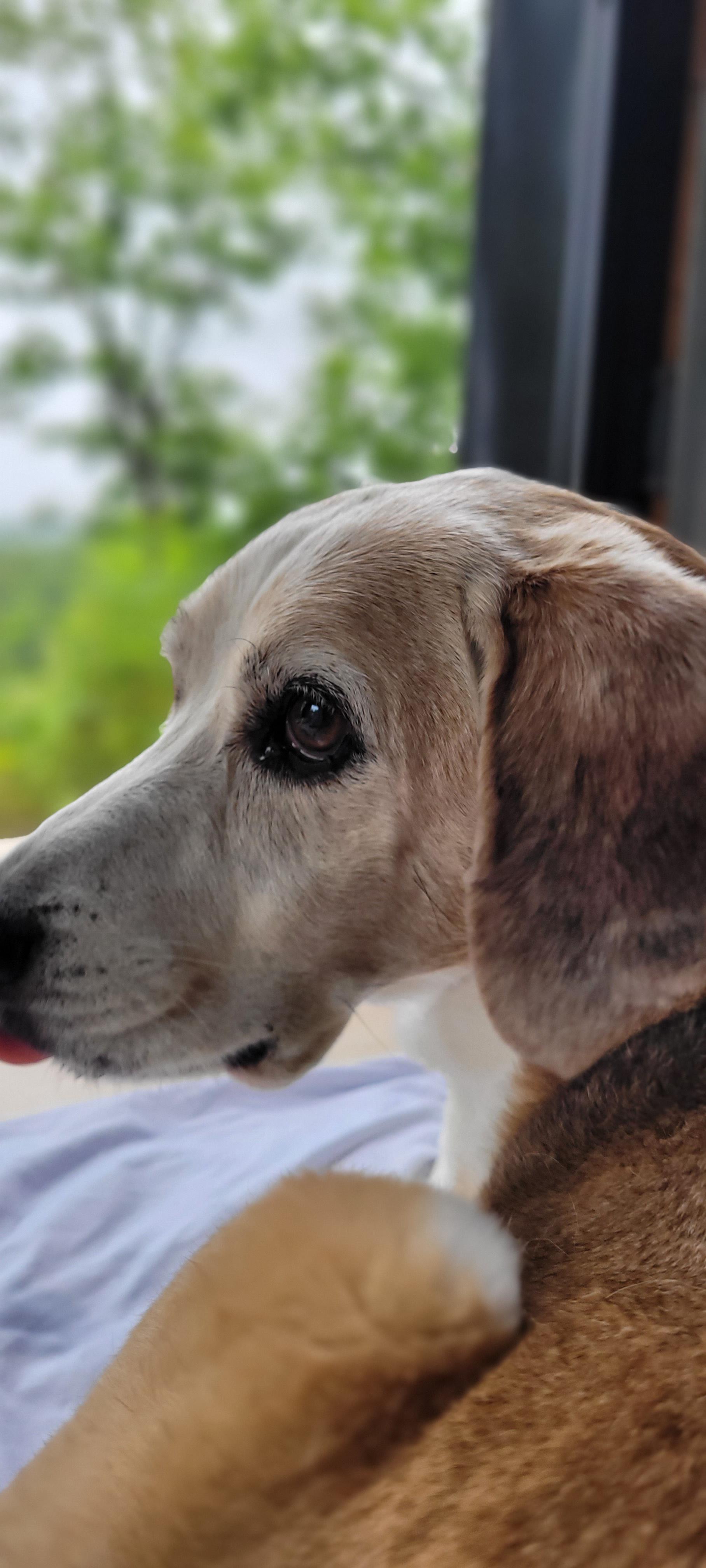 14 and counting | Scrolller