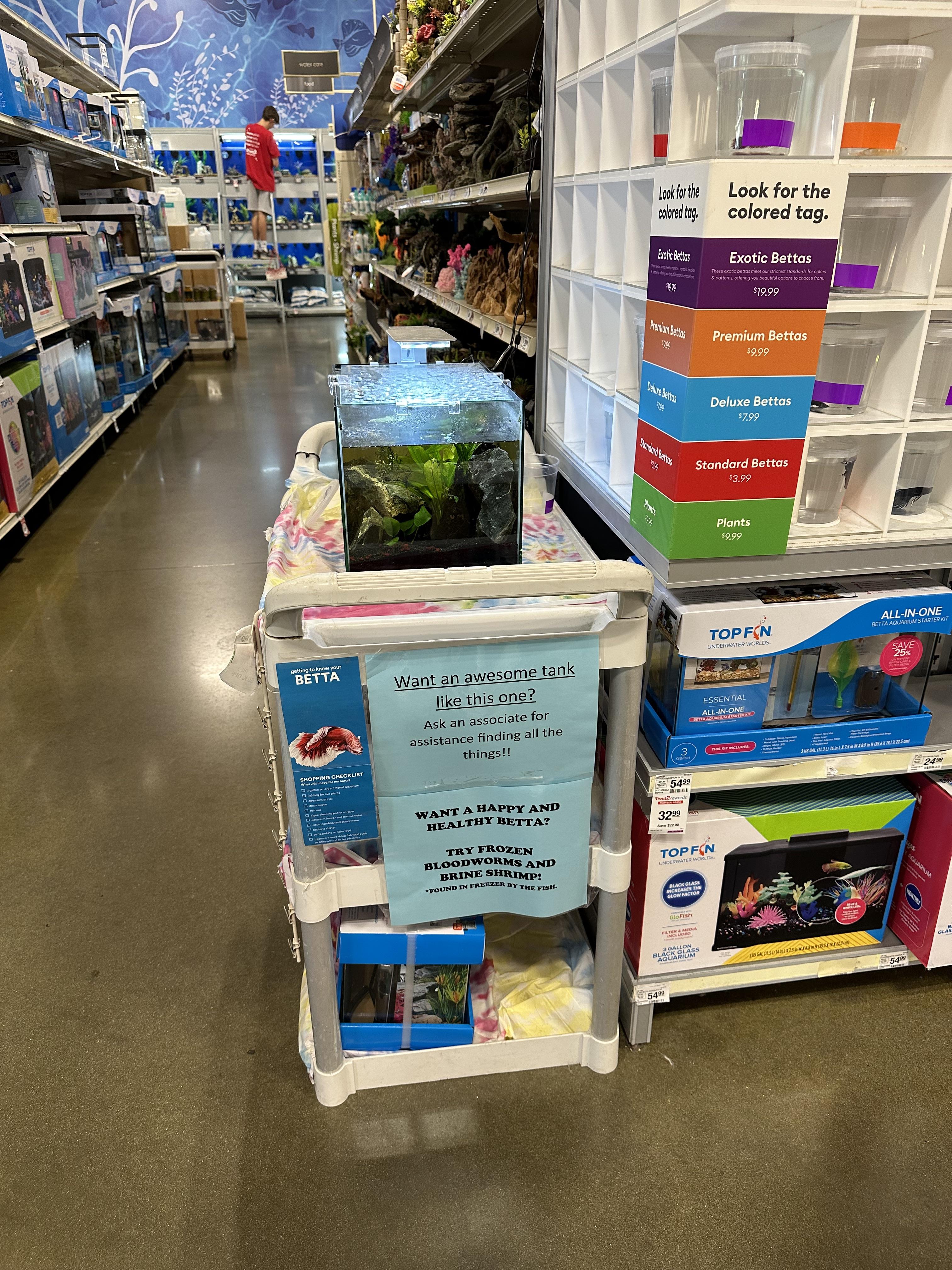 My Location Updated Their Betta Section! | Scrolller