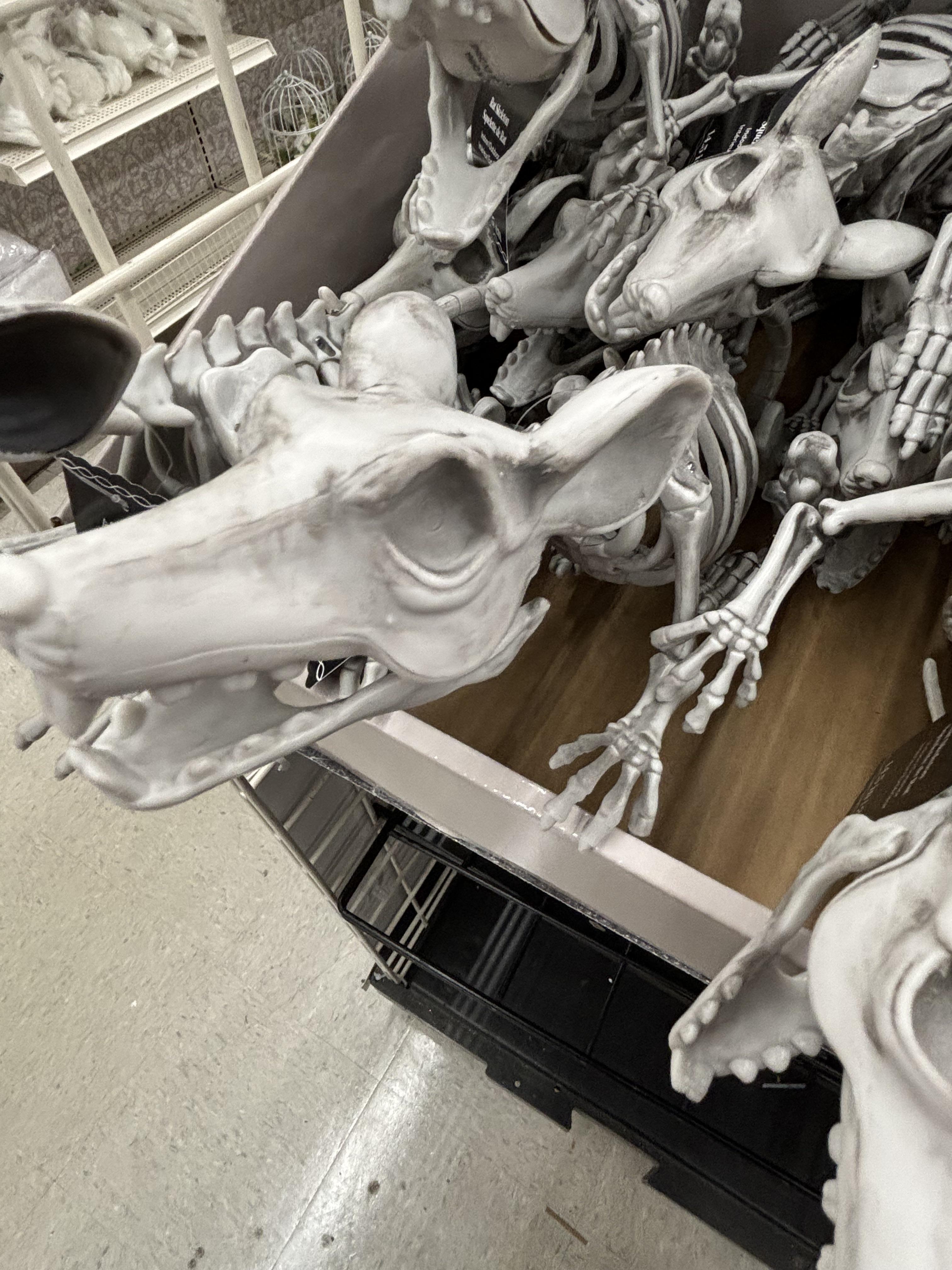 It's official I creating a bloodborne inspired film called Skeleton ...