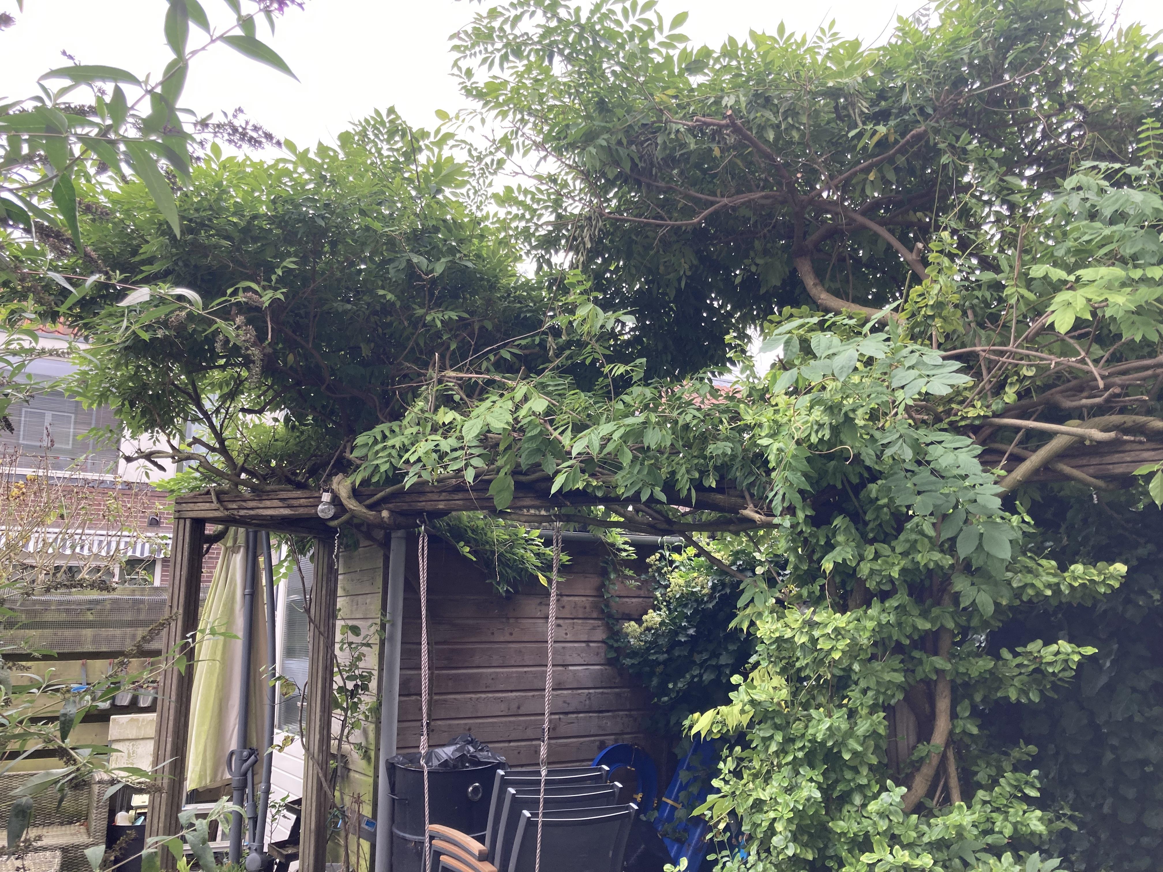 Trimming the Bush | Scrolller