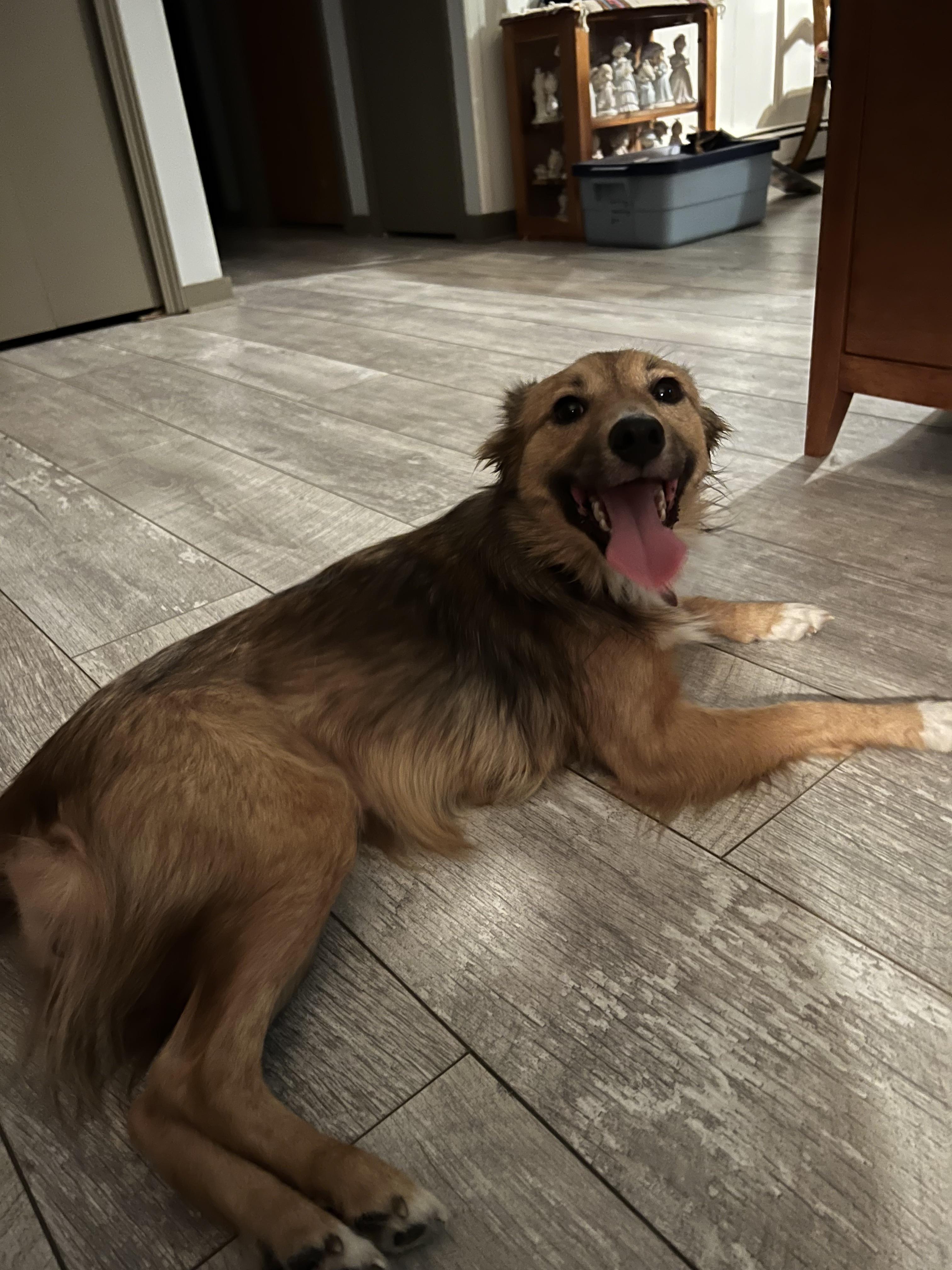 My bestie, sara | Scrolller