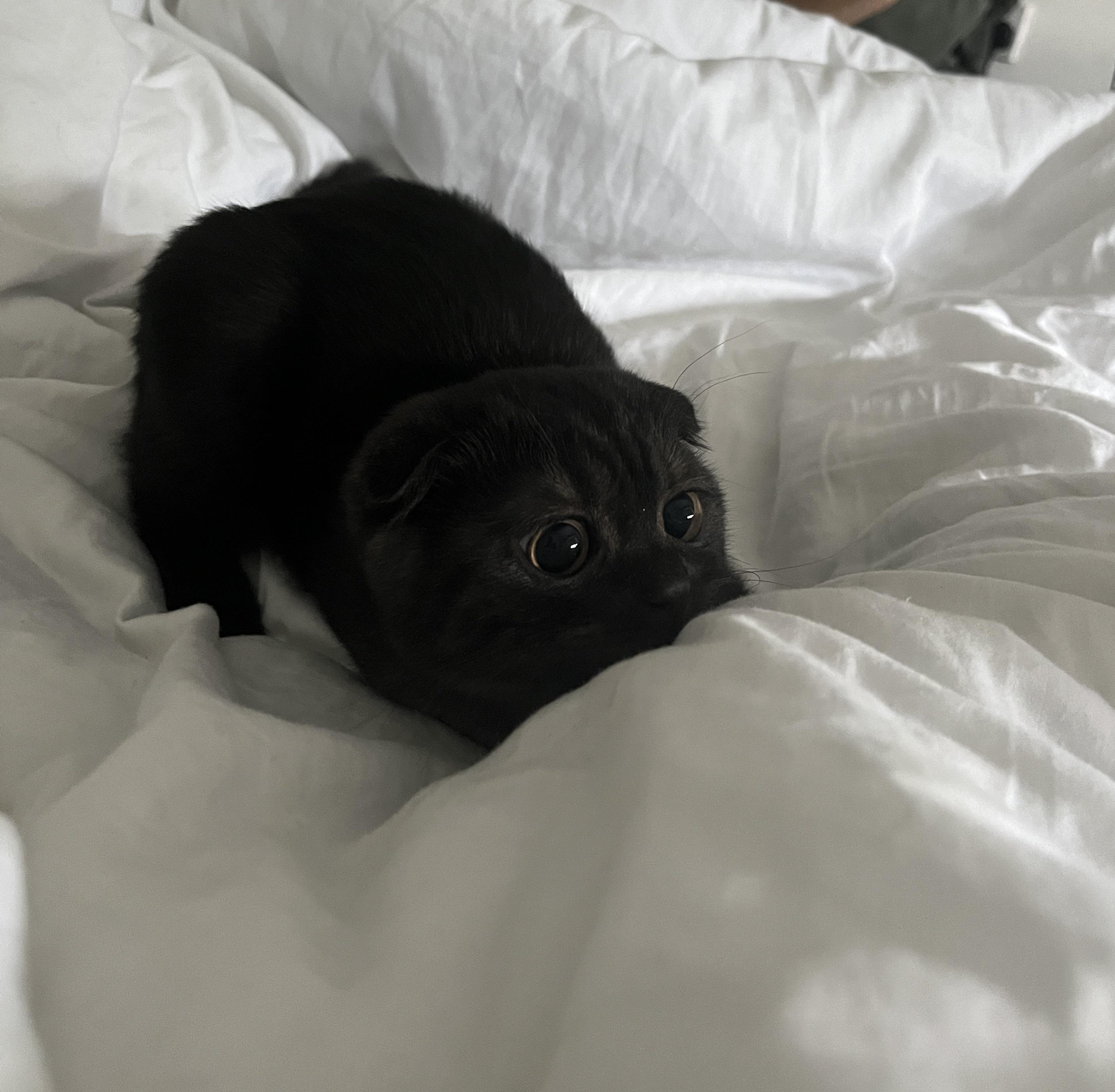 Our little void | Scrolller