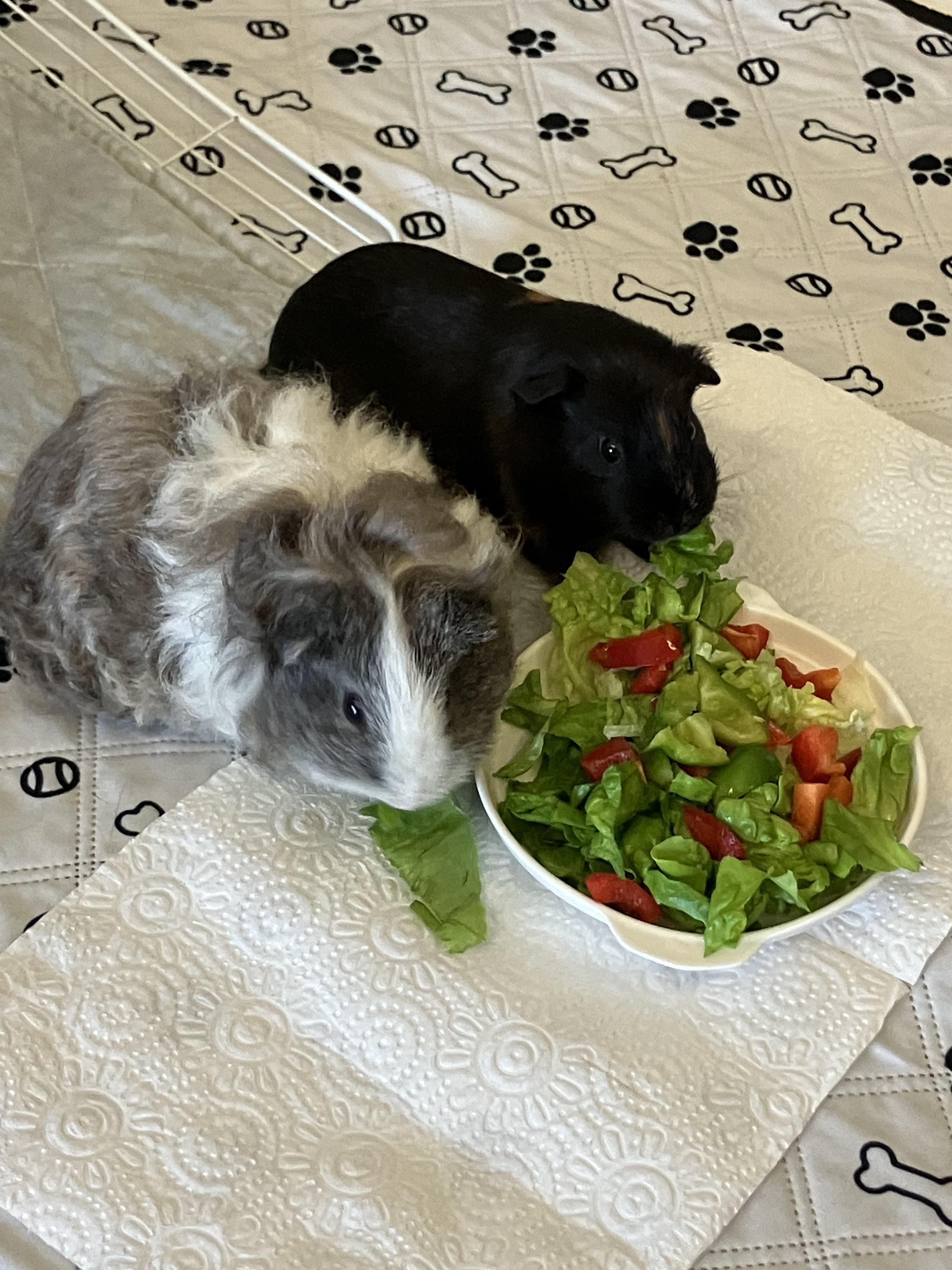 Moreeee, we demand M.O.R.E!!! | Scrolller