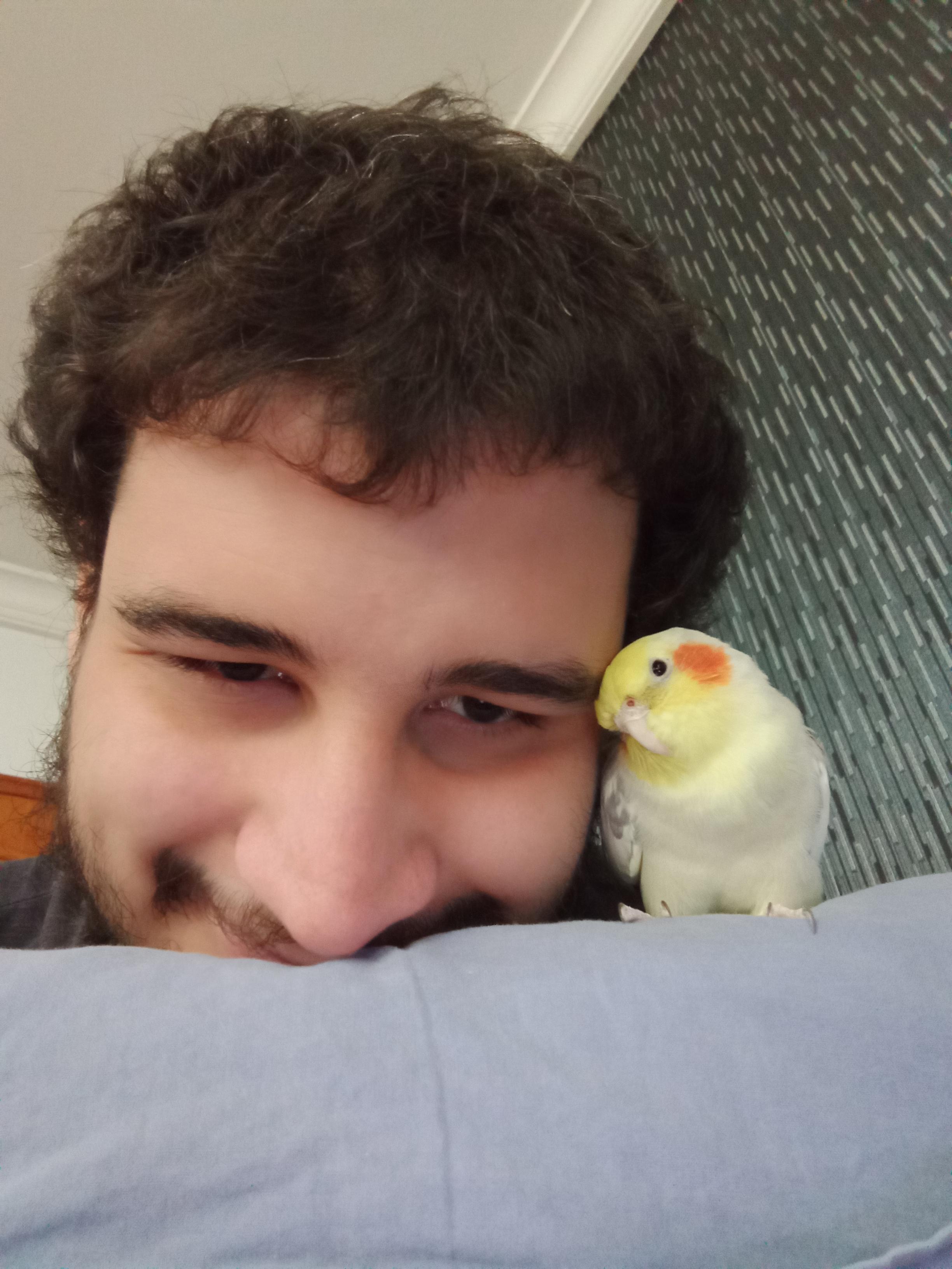 Gaining the trust of my borb. | Scrolller