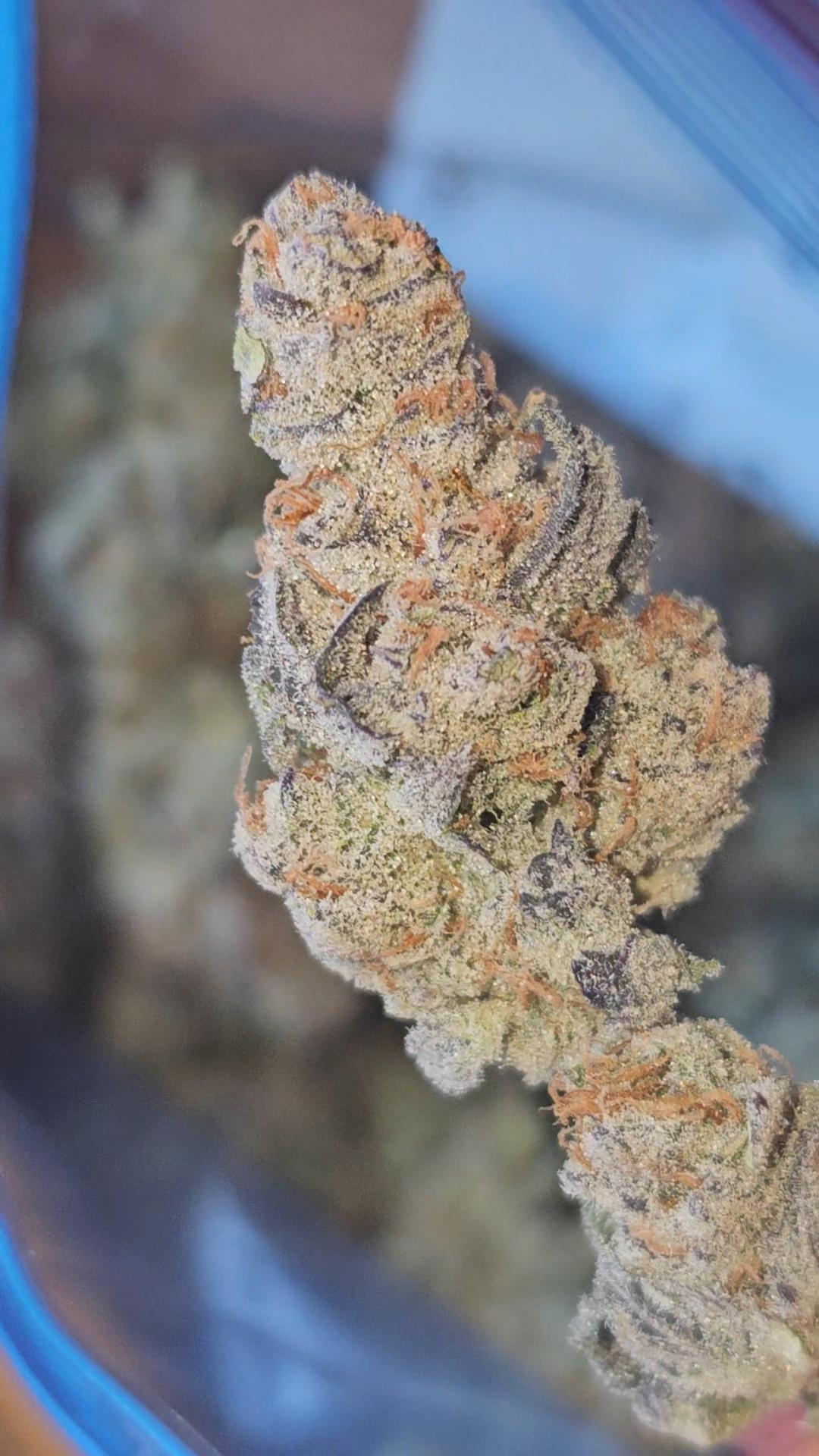 Grape Rock Candy AUS grow | Scrolller