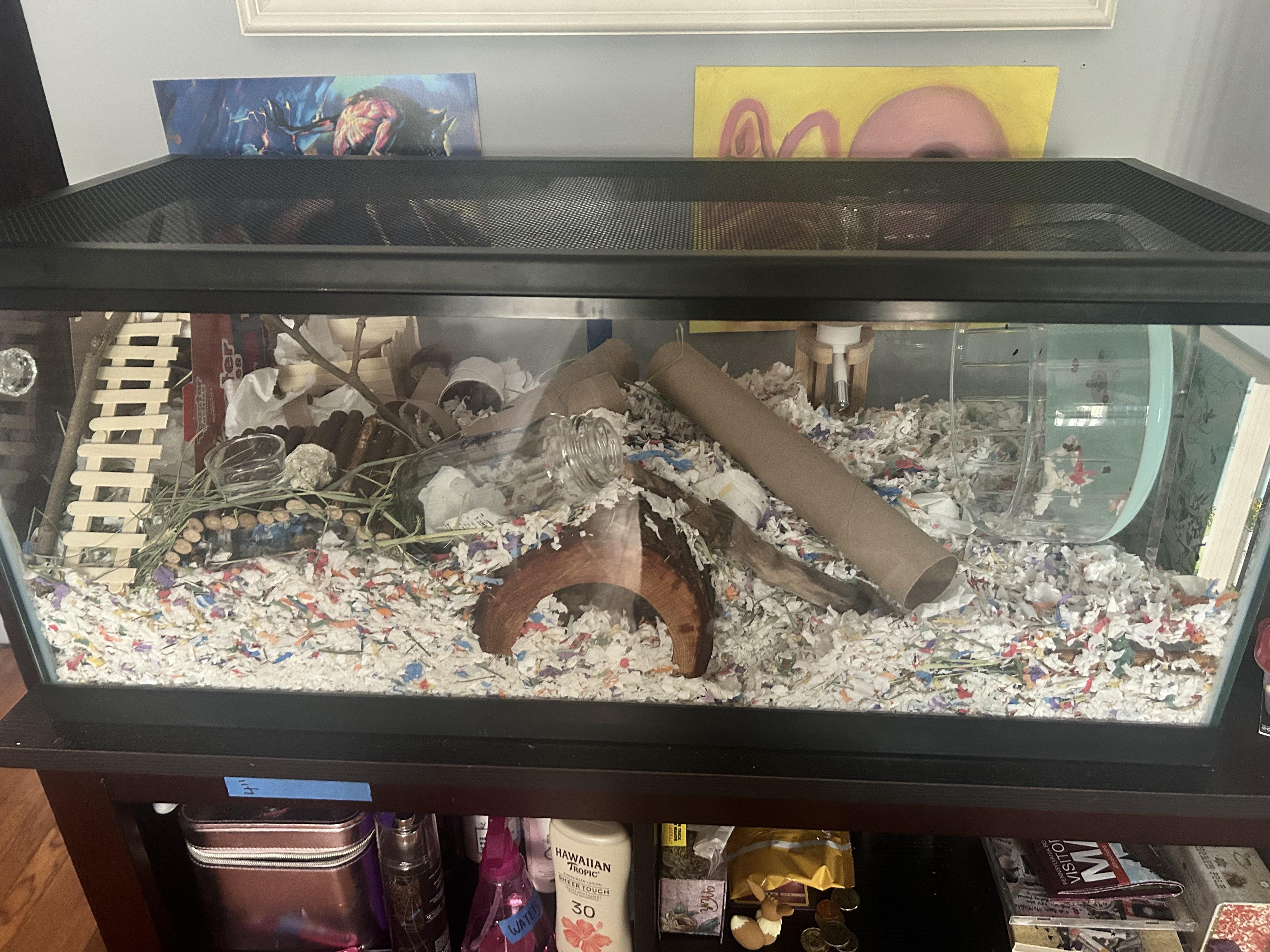 Enclosure Update! | Scrolller