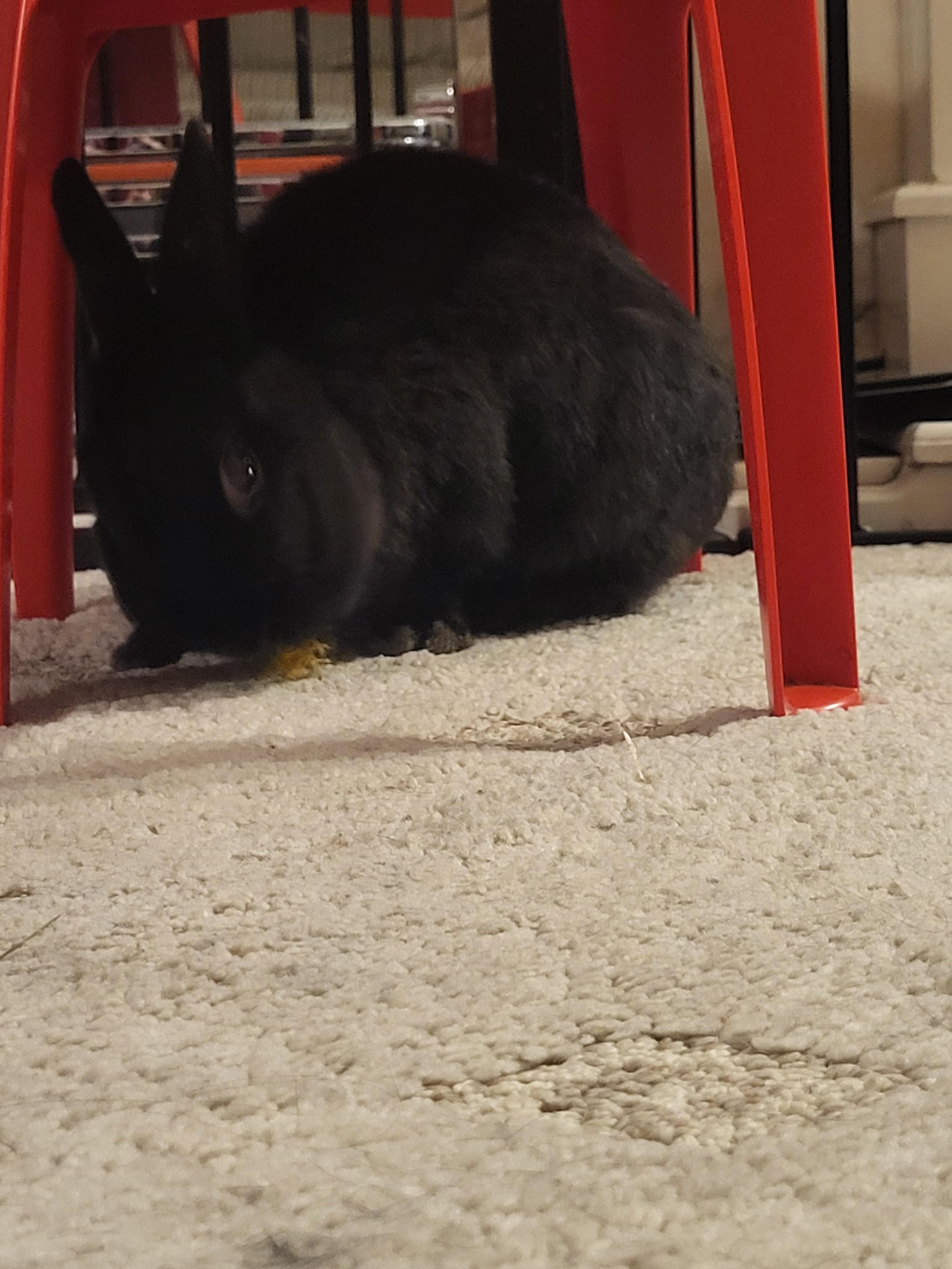 The moment of betrayal...then back to snacking | Scrolller