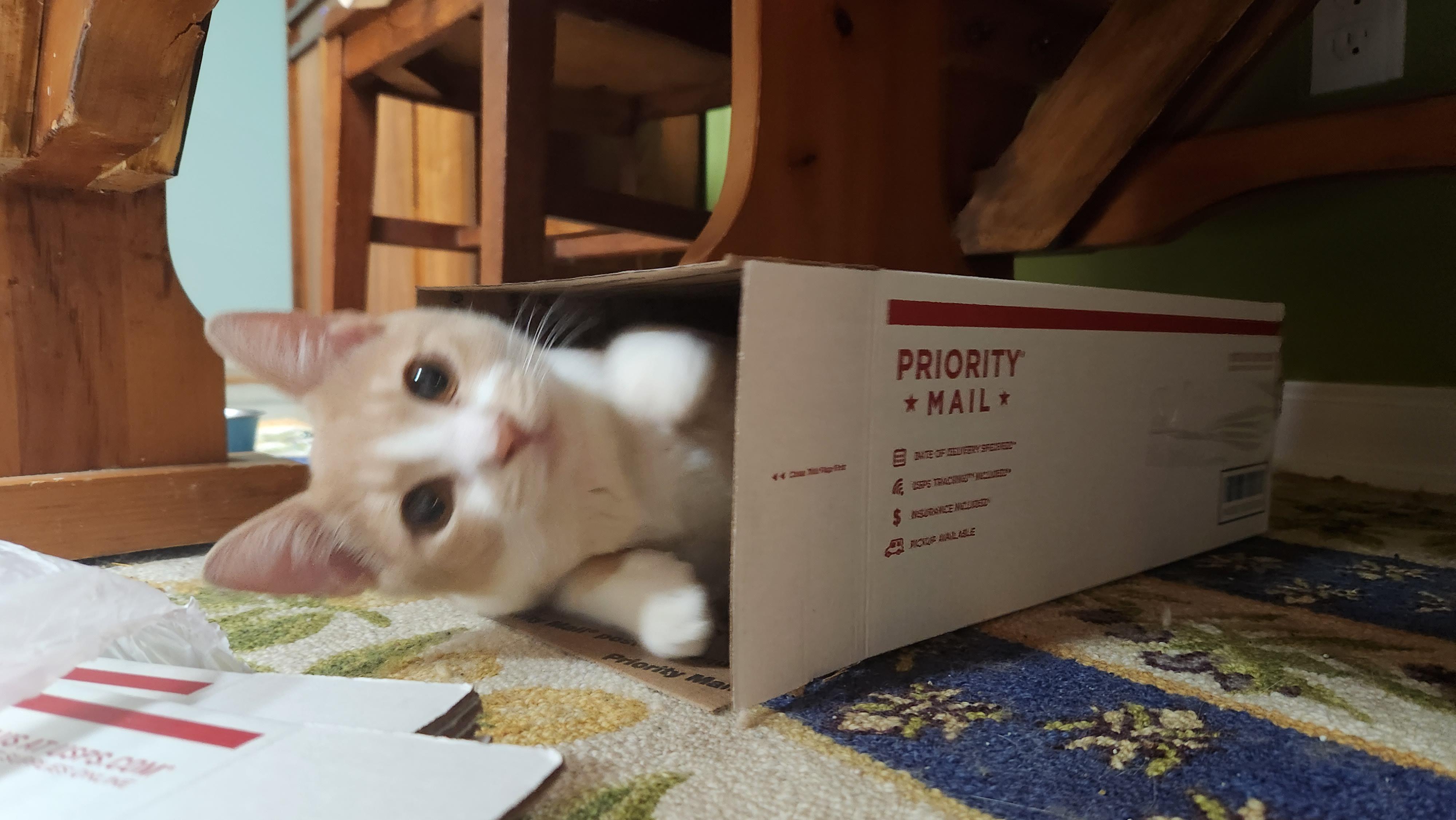 High Priority | Scrolller