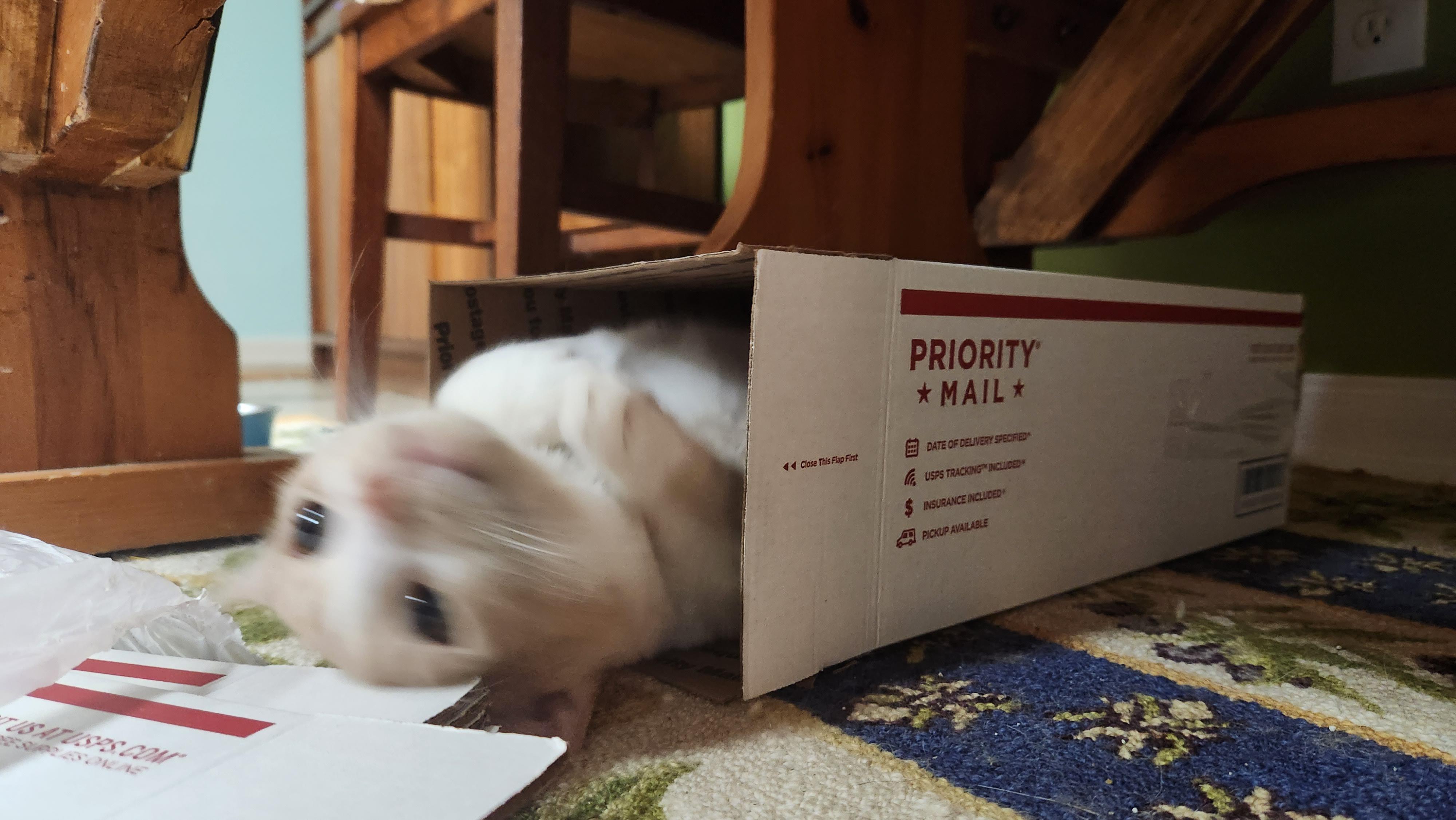 High Priority | Scrolller