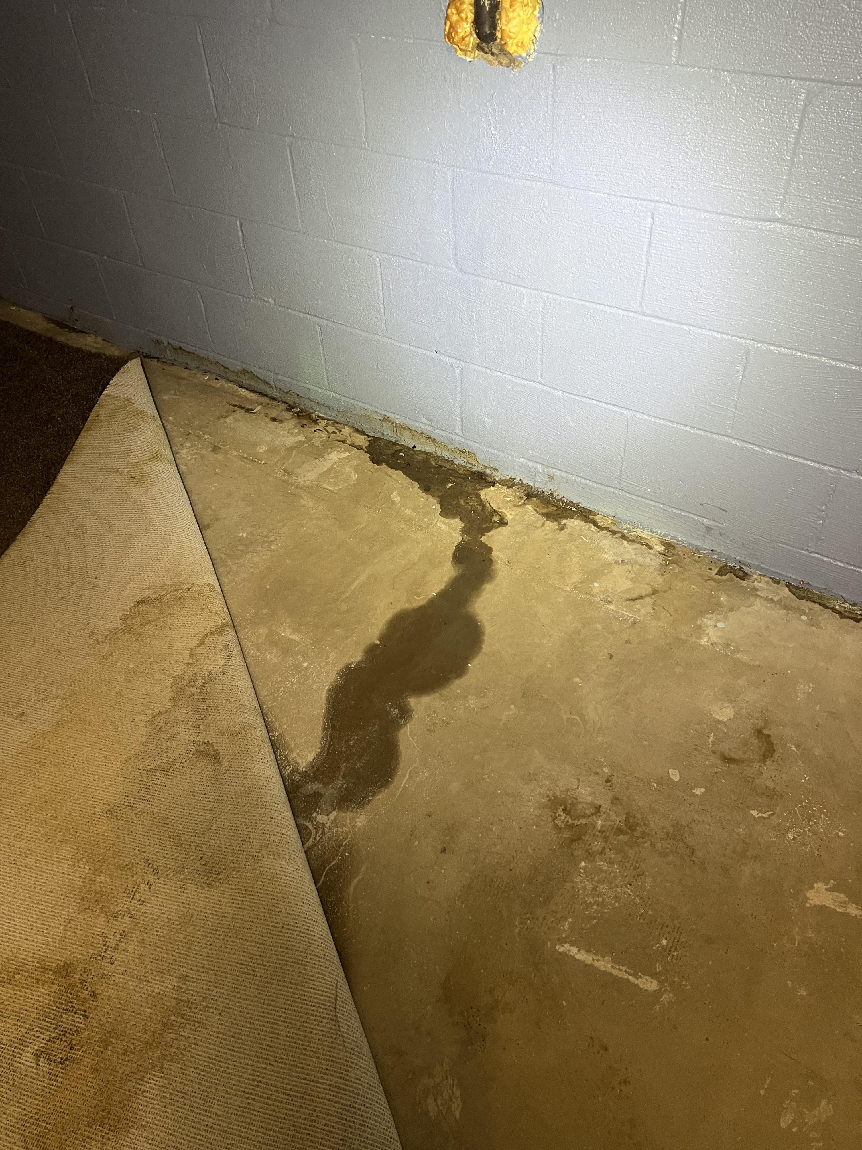 How should I go about sealing this small water leak at the wall/floor seam in my basement ...