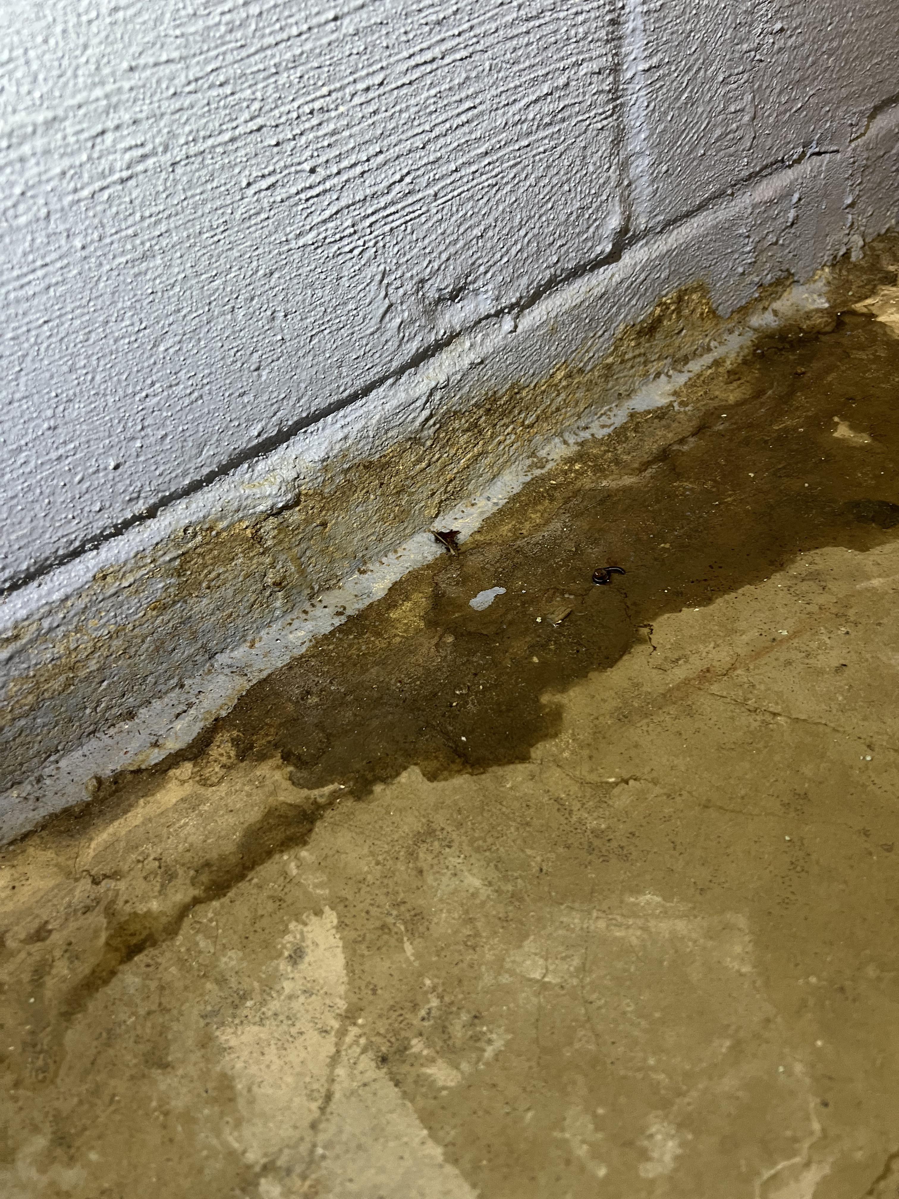 How should I go about sealing this small water leak at the wall/floor seam in my basement ...