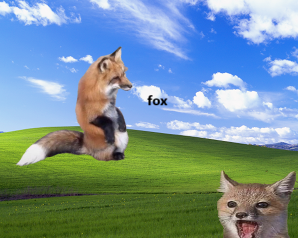 Thought I would share my fox-themed wallpapers I made | Scrolller