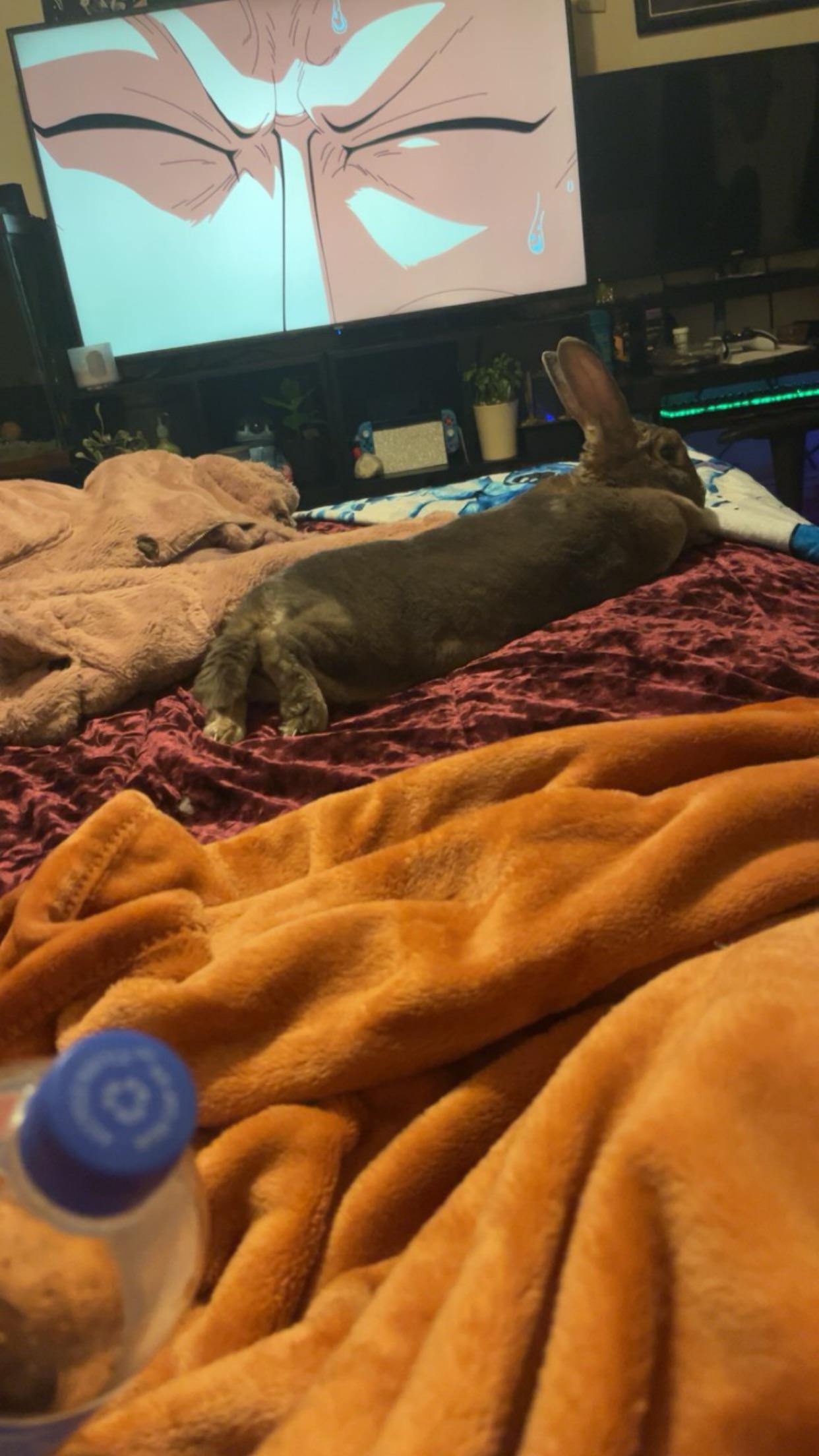 Photo bomb! | Scrolller