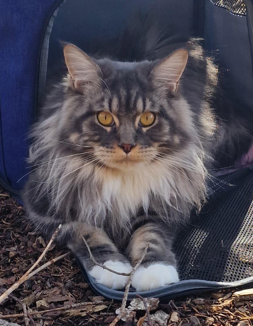 Happy Birthday Ayla 🎉🎊 (1 year) | Scrolller