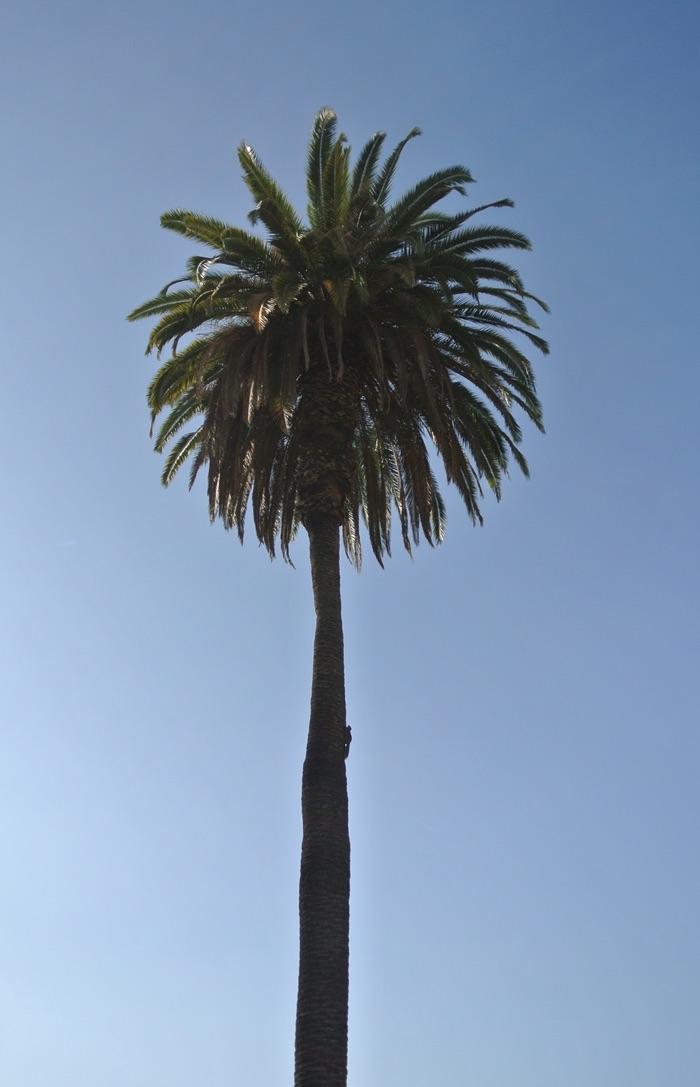 Squirrel! | Scrolller