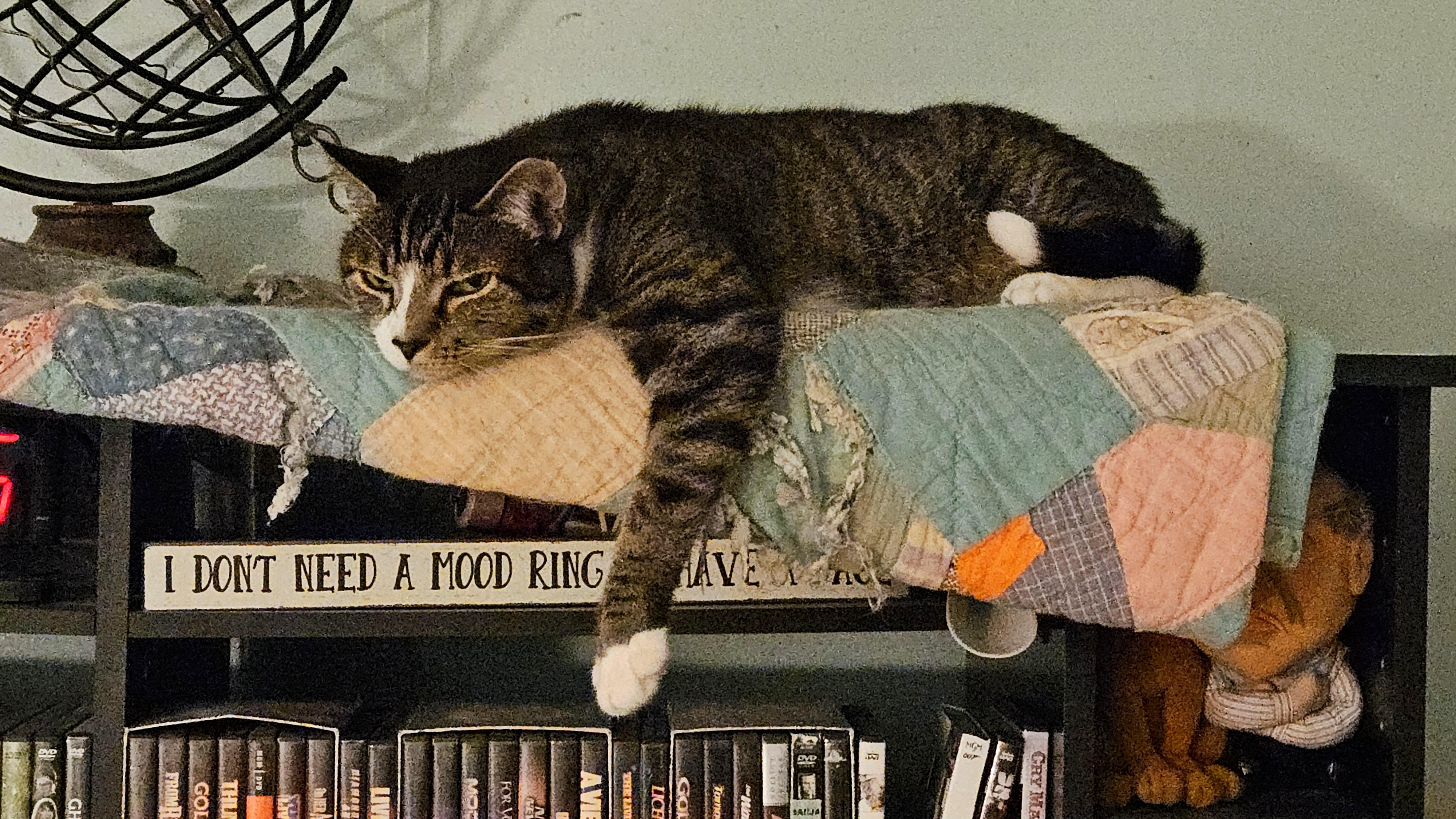 Gary!! Named after a snail | Scrolller