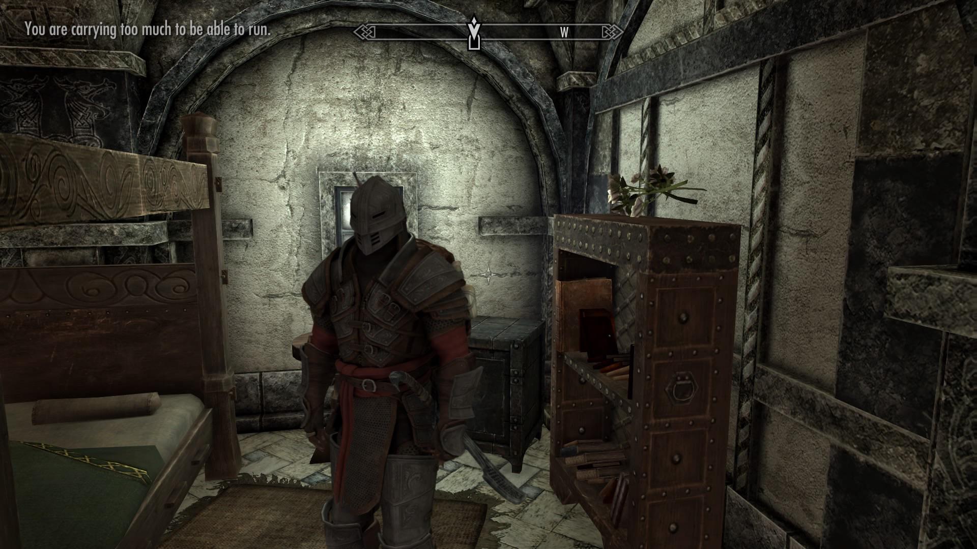 My character and some of my favorite armor | Scrolller