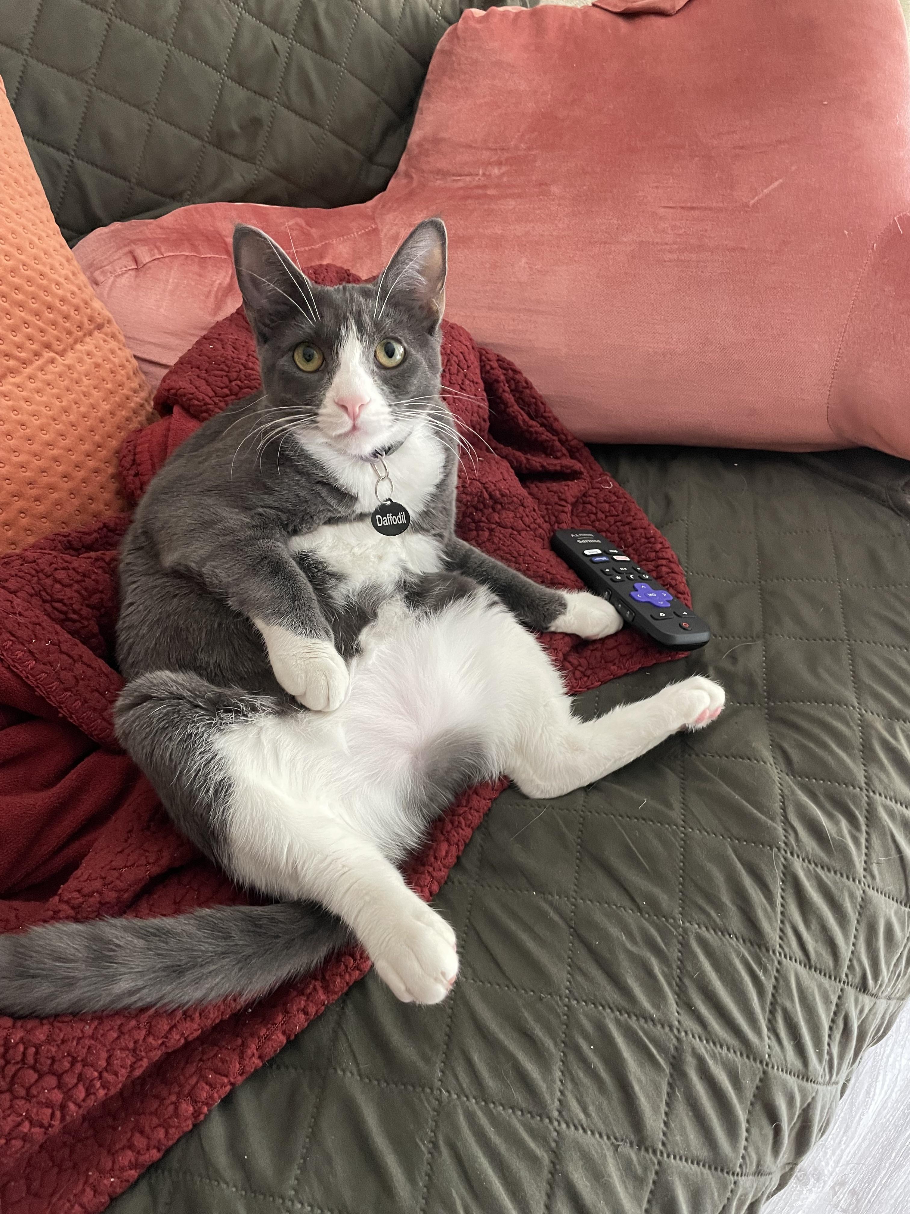 Daffy aka Stinky Pinky aka Sleepy Douglas | Scrolller