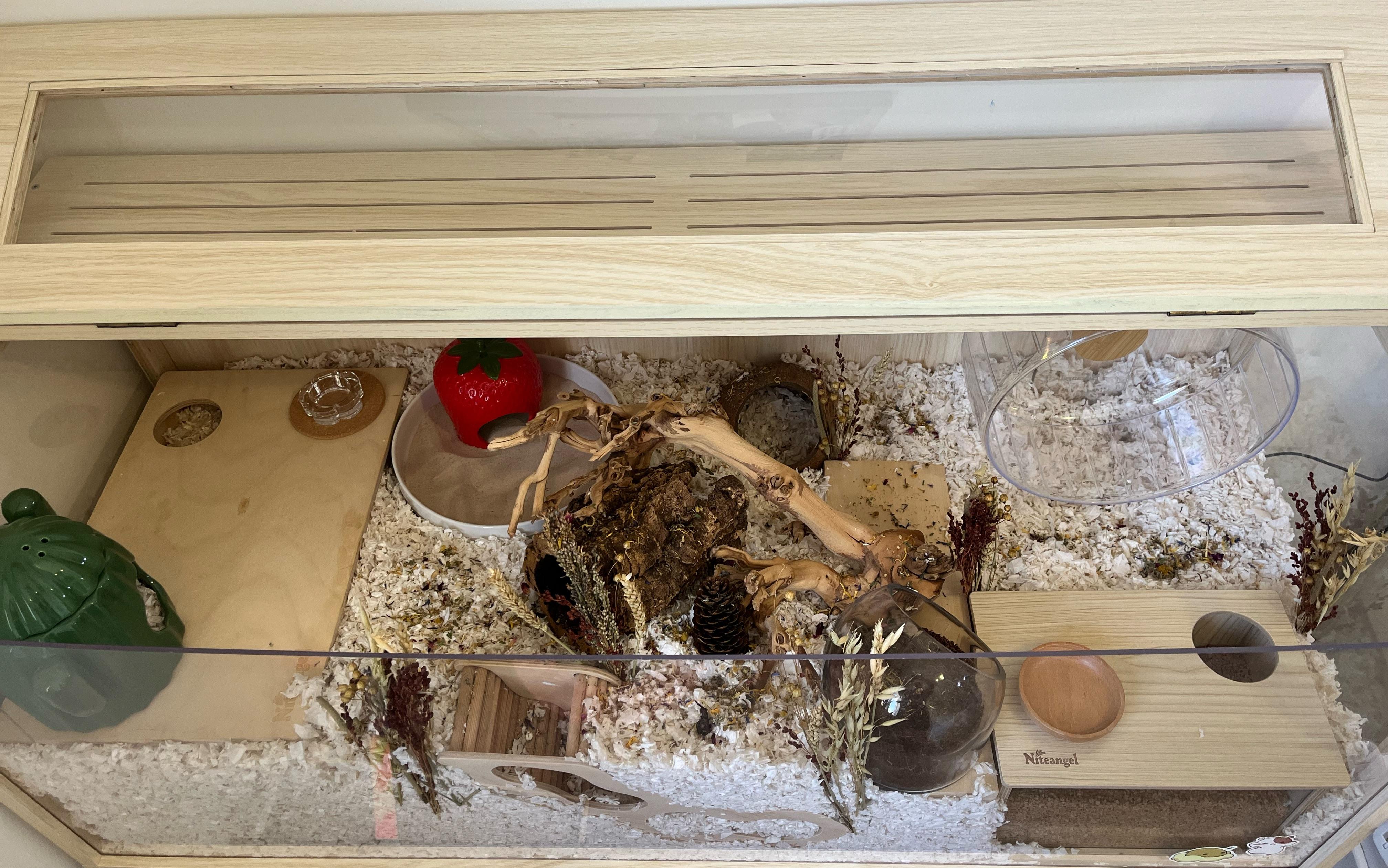 New hammy enclosure | Scrolller