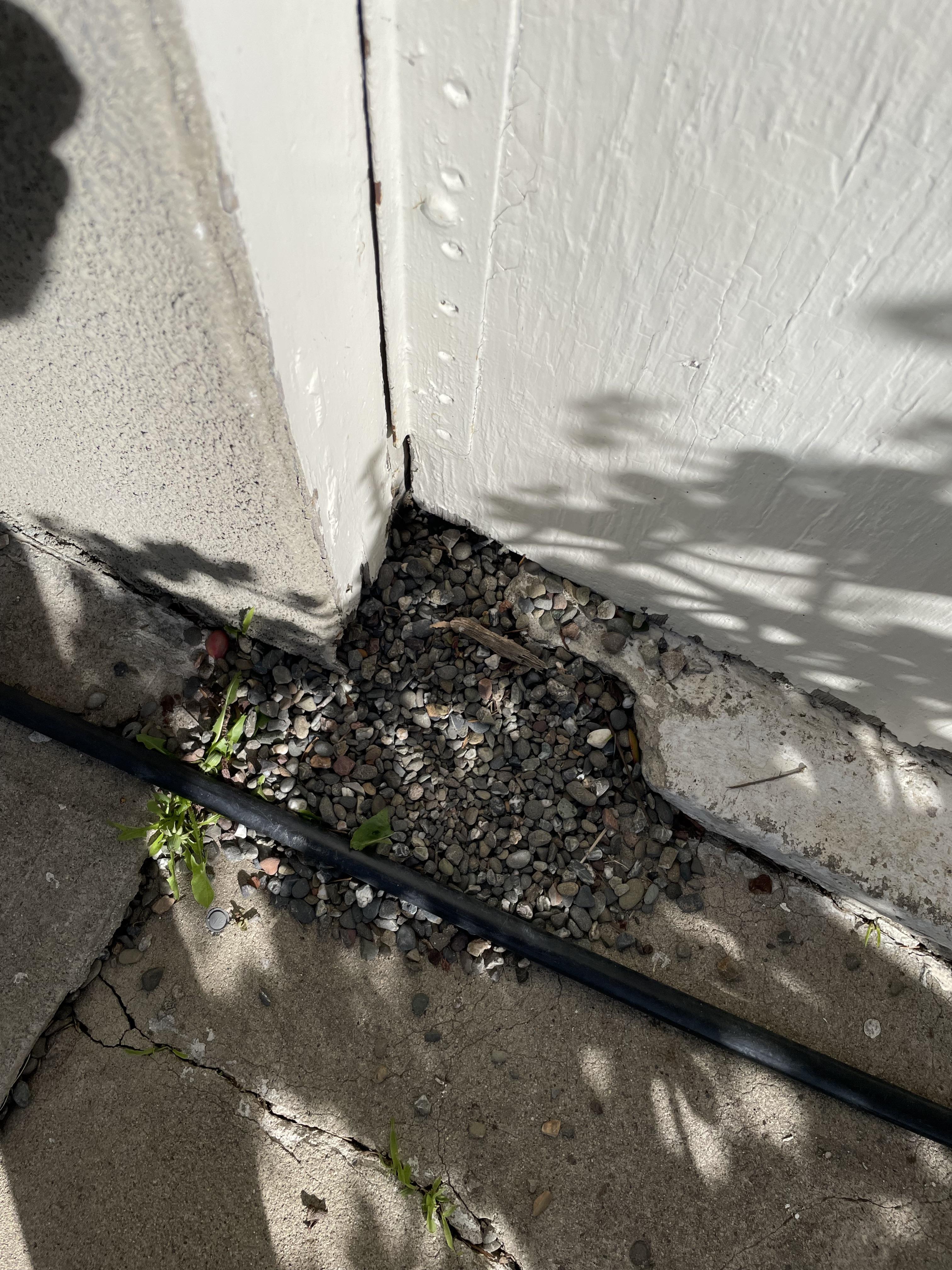 Foundation issues | Scrolller