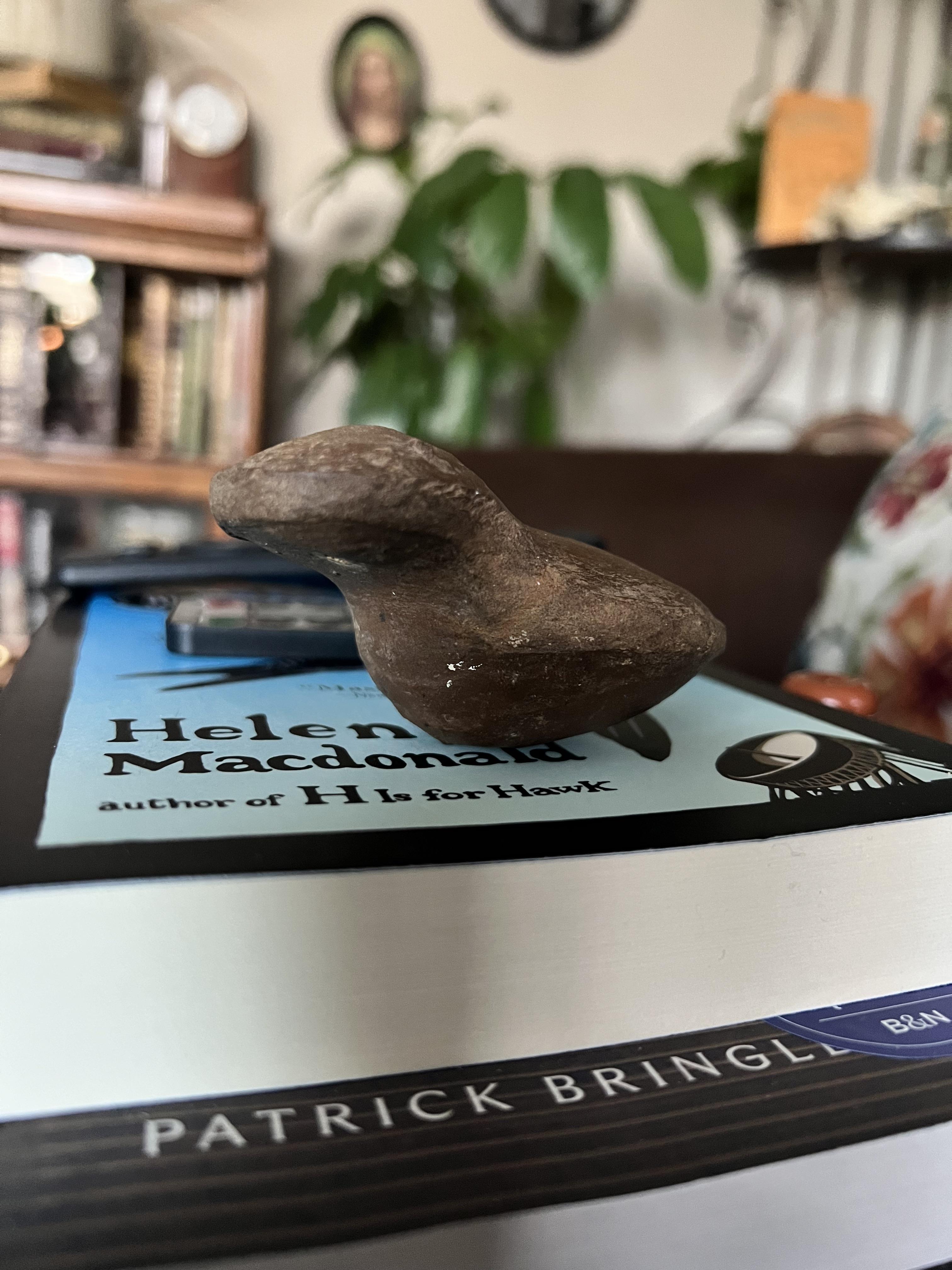 So strange | Scrolller