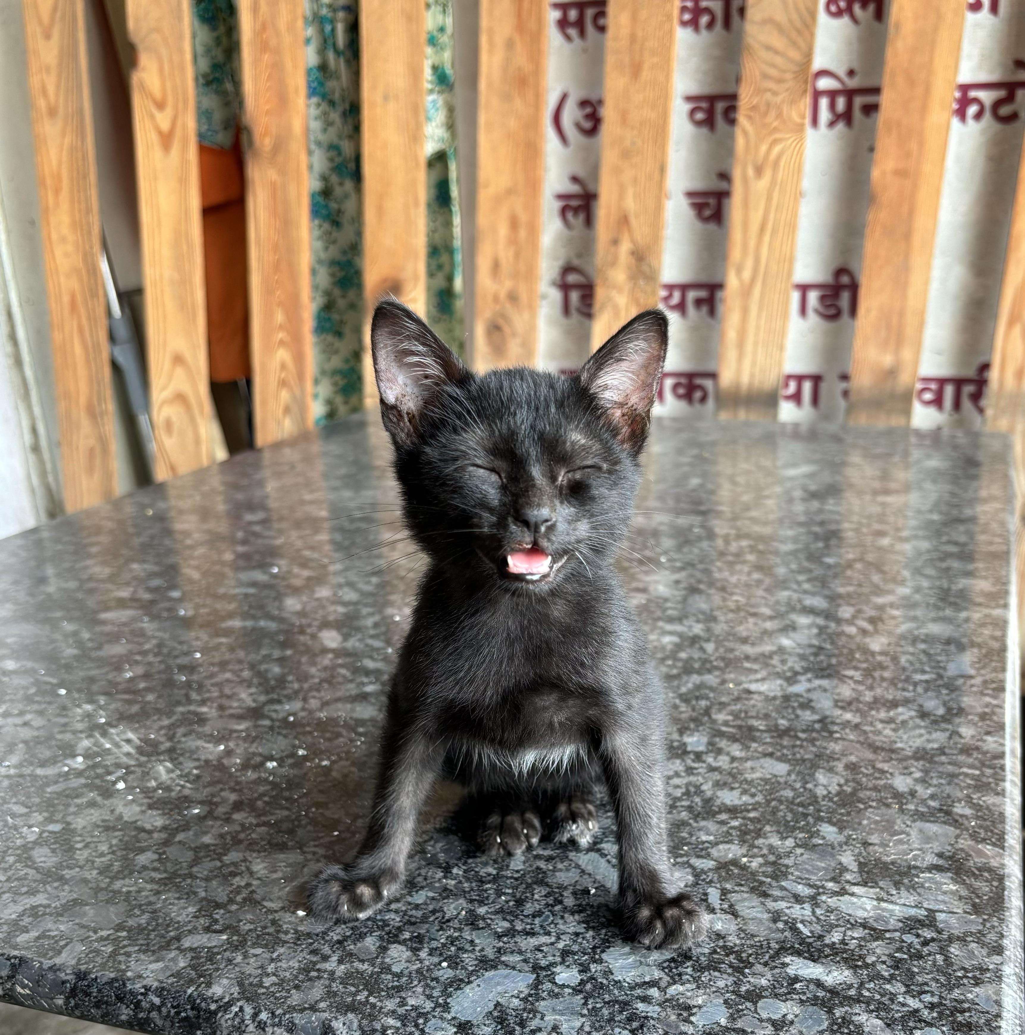 A tiny friend I made at a tea stall near me 🥹 | Scrolller